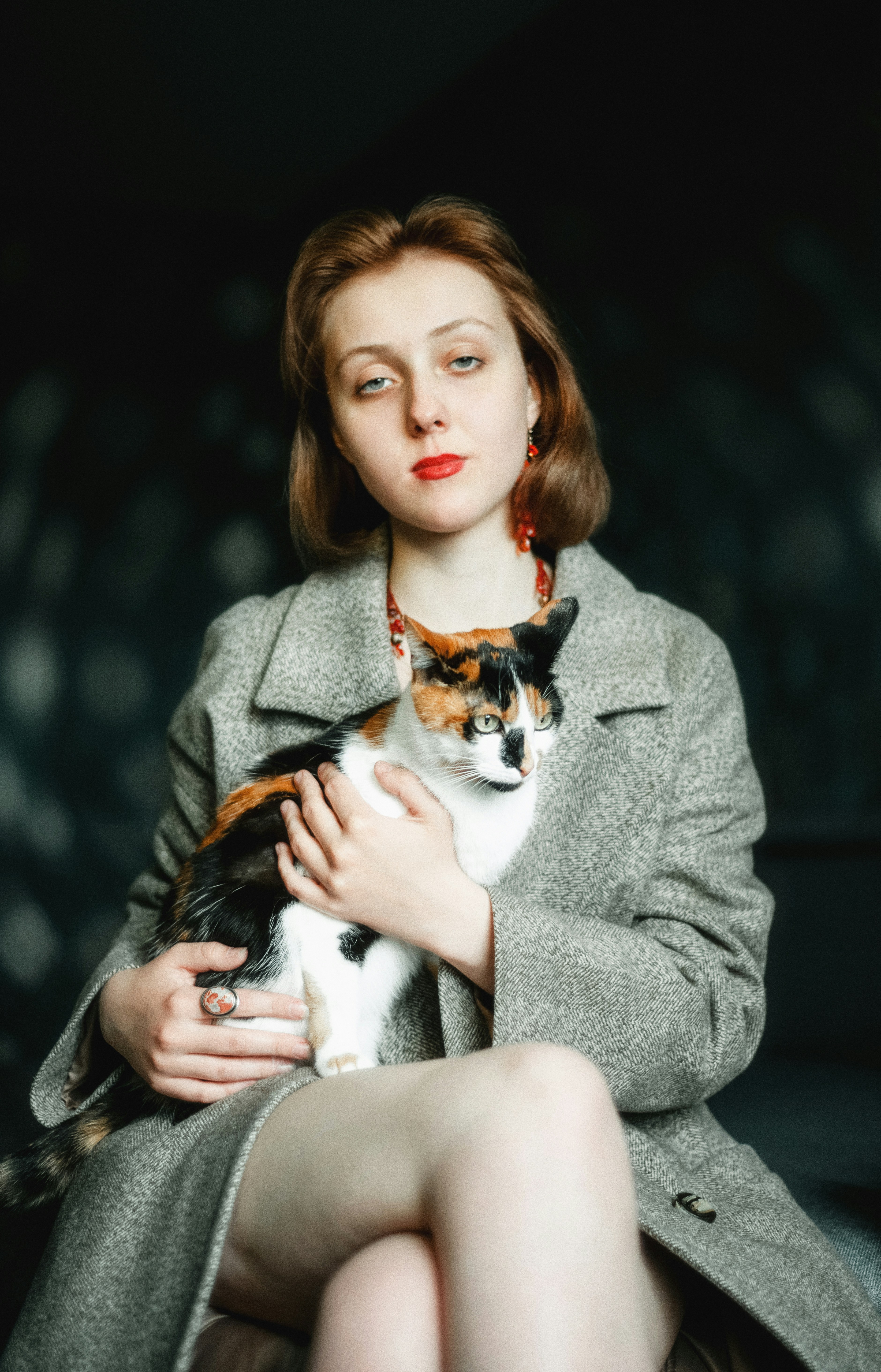 Portrait in Velvet Gray: A Calm Gaze with a Calico Embrace