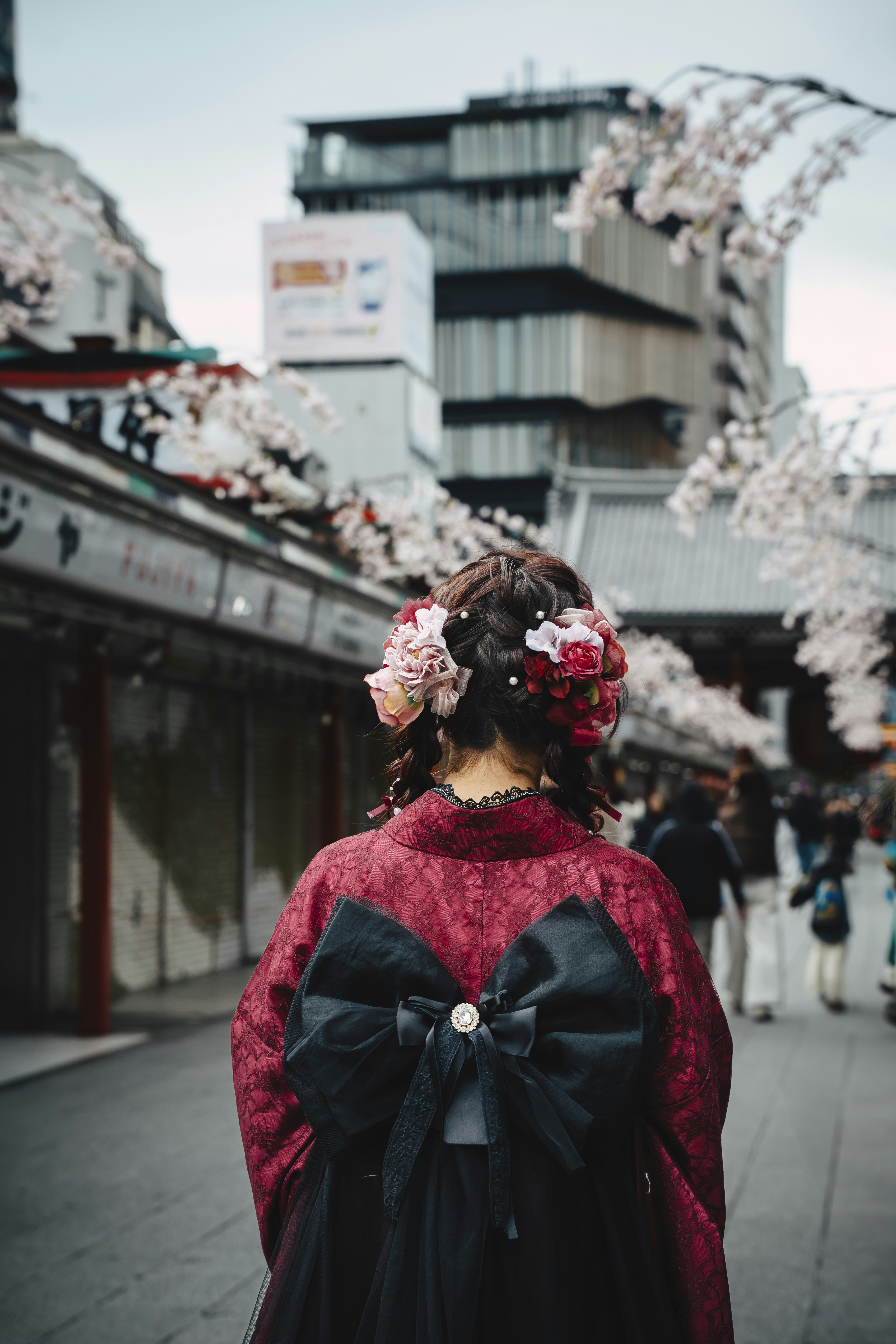 Crimson Kimono Chorus: Cherry Blossoms Framing a Royal Bow