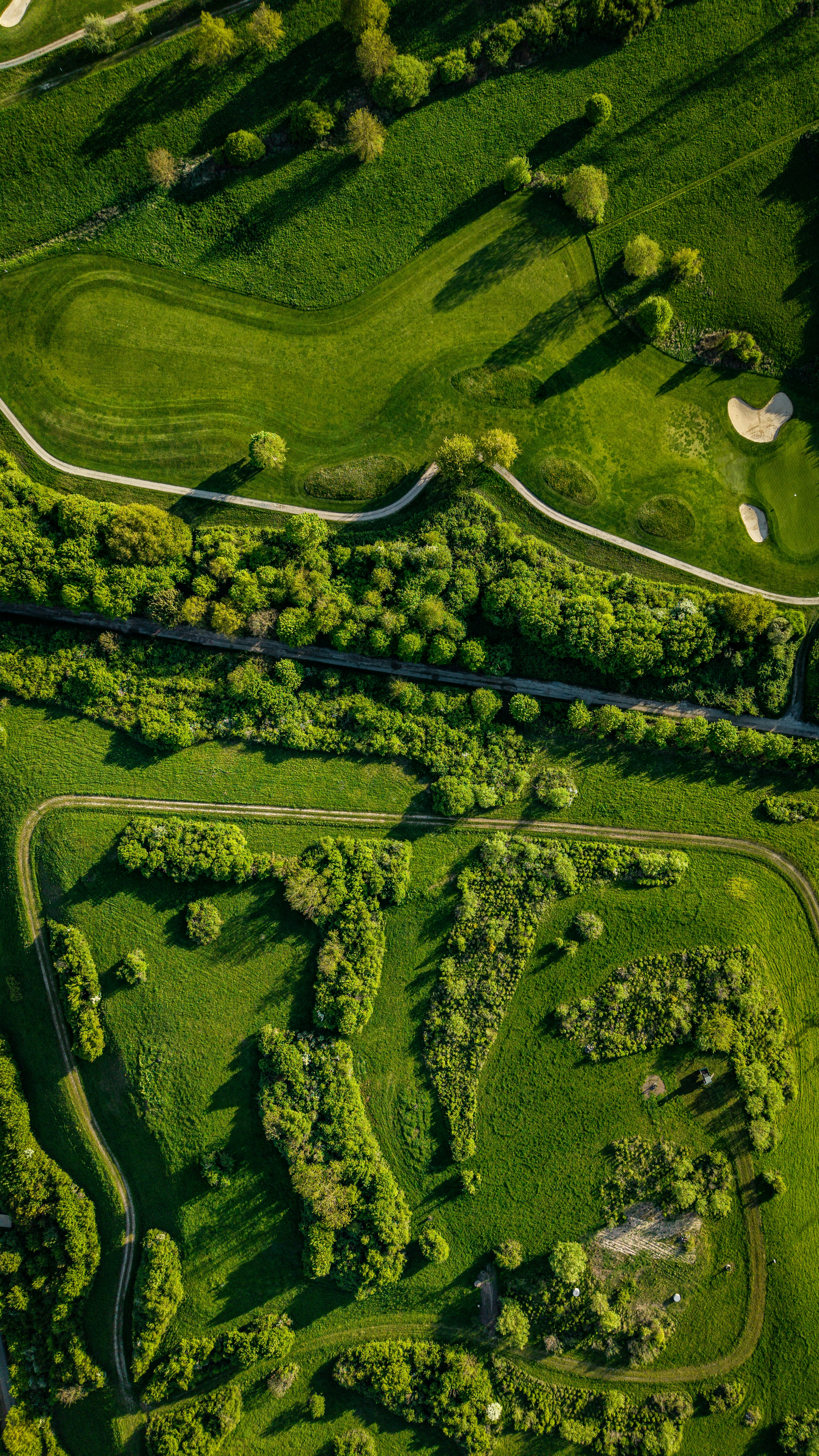 Aerial Greenweave: Meandering Pathways through Emerald Canopy