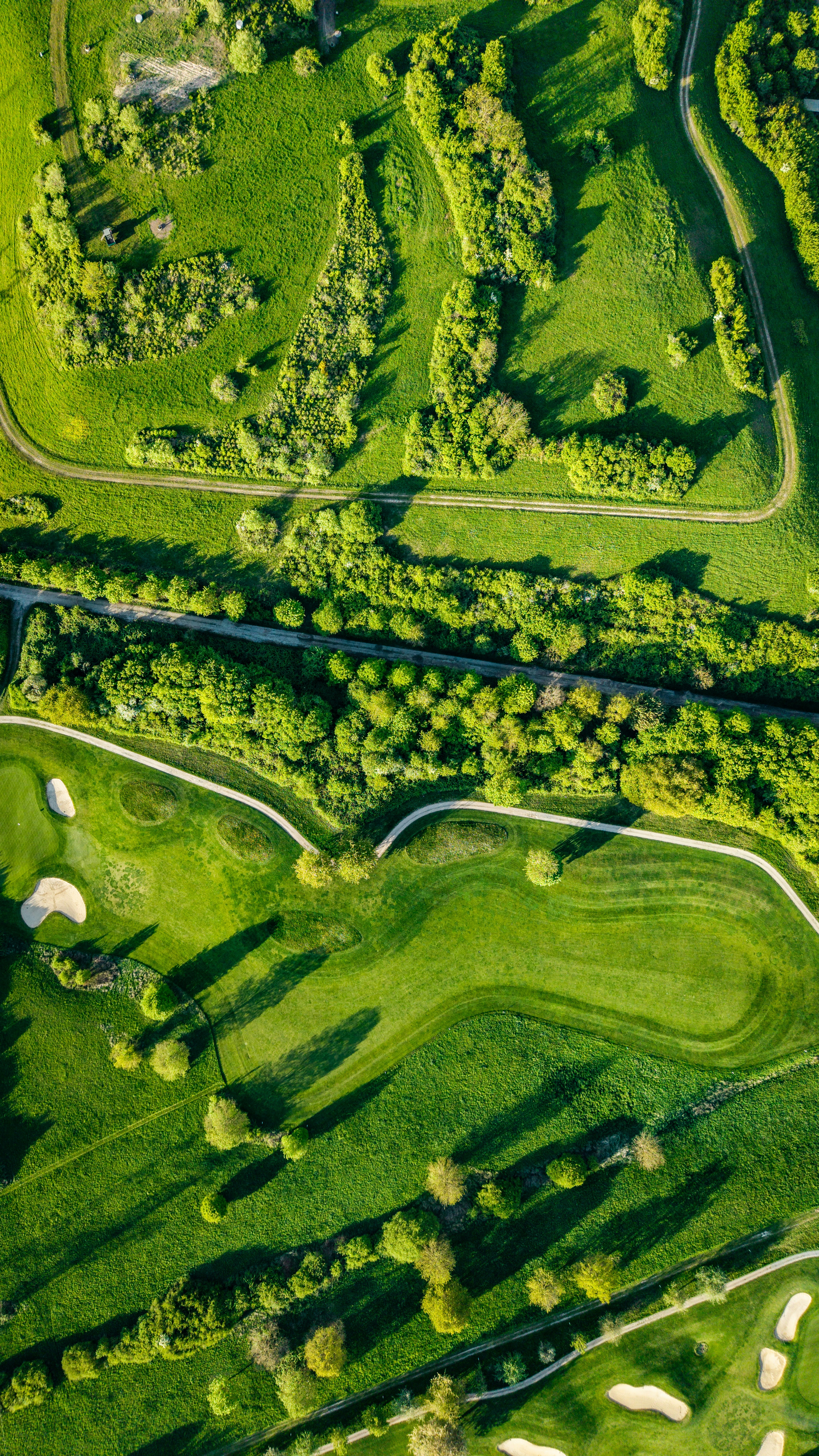 Green Carpet Geometry: Aerial Tapestry of a Golf Landscape