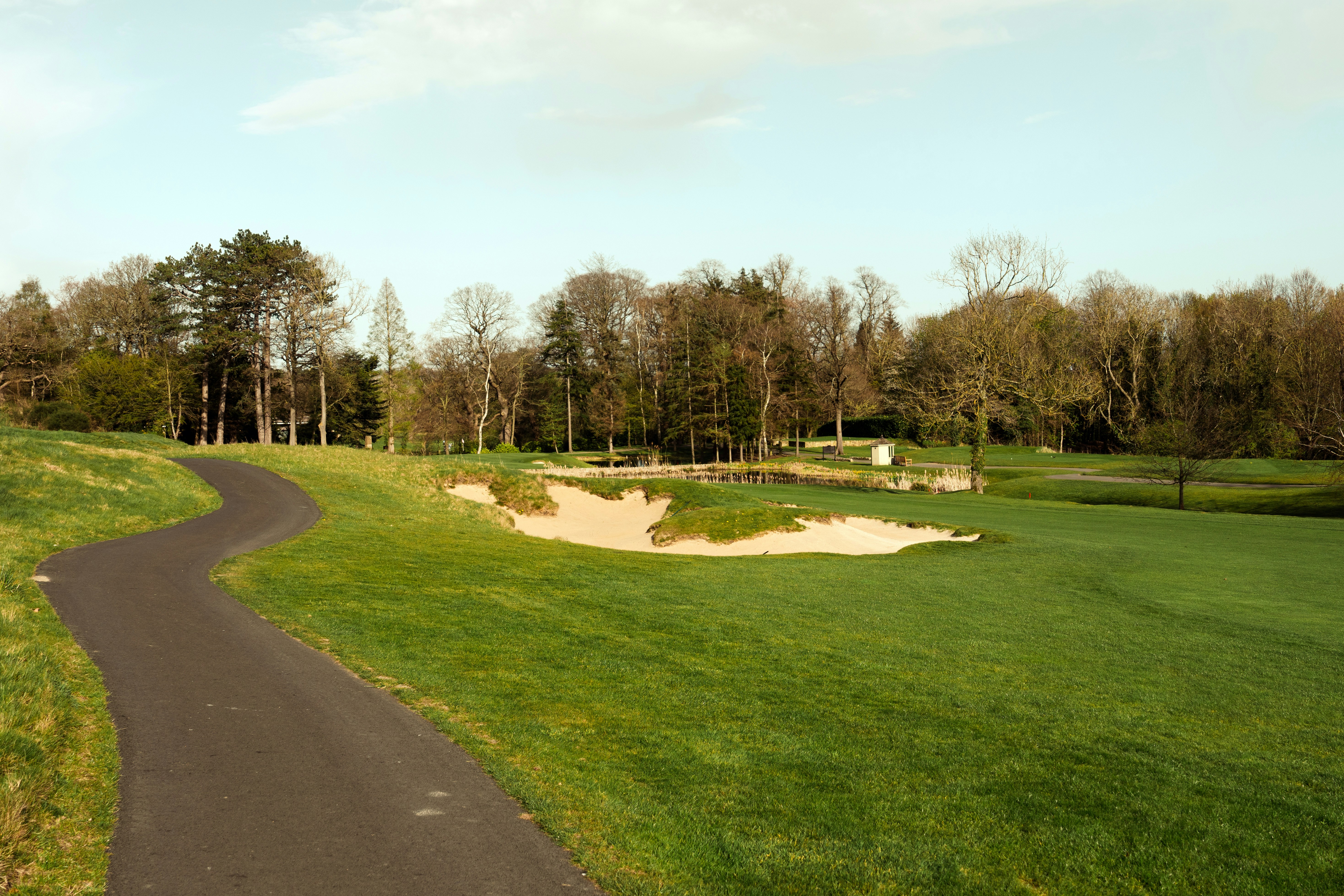 Green Serenade: A Quiet Path to the Sand Trap