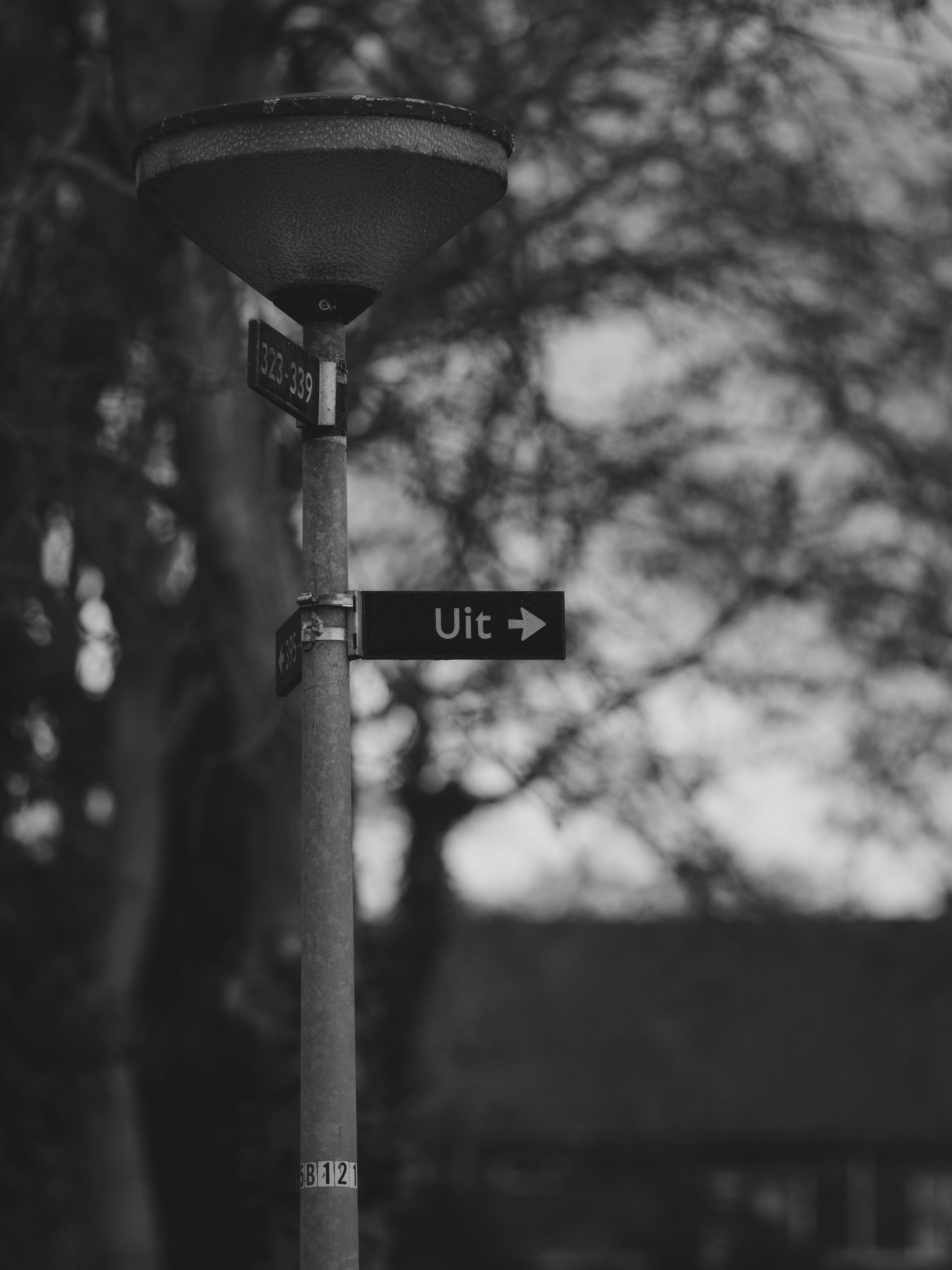 Crossroads in monochrome: a quiet street sign under a lamp