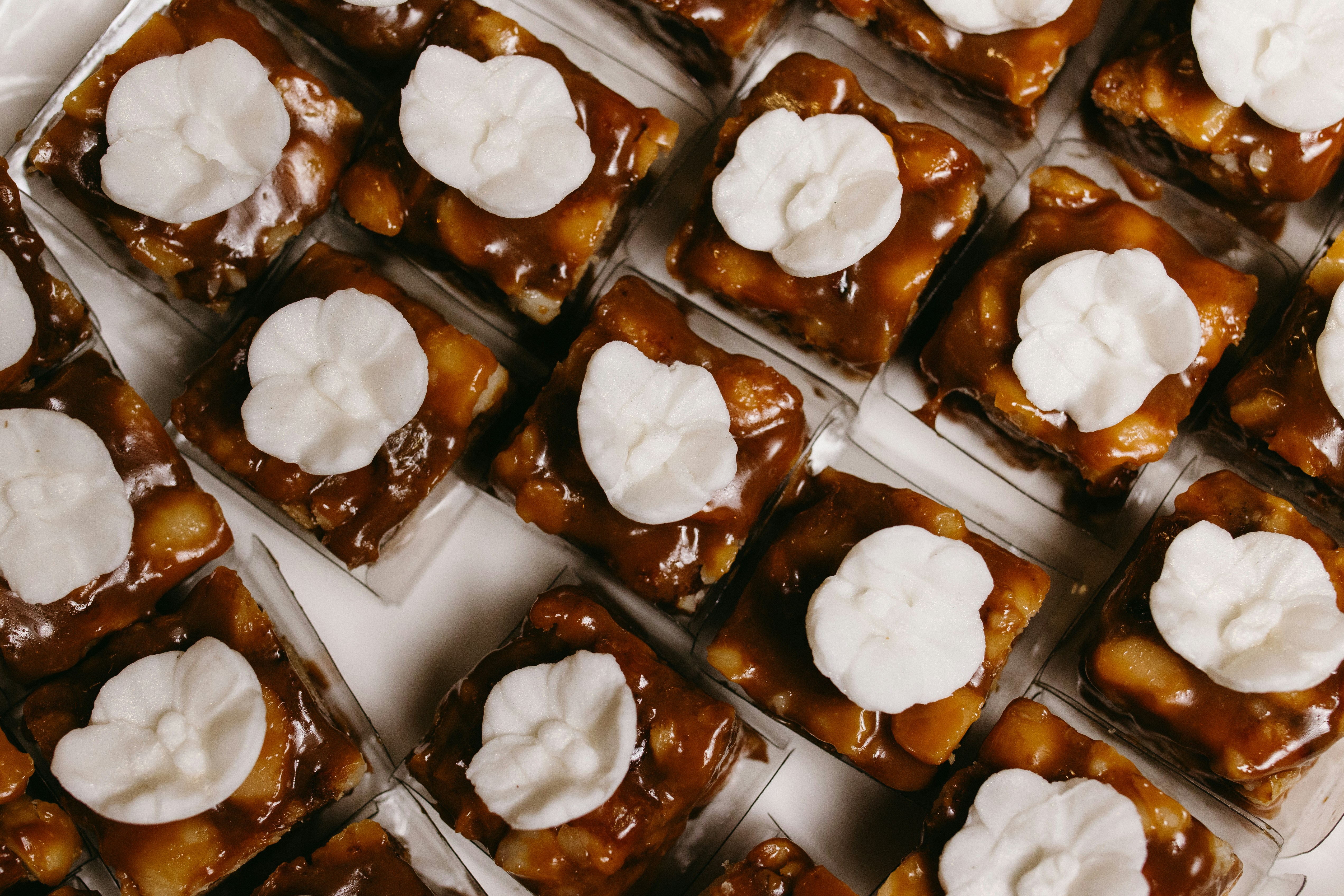 Sweet Grid: Chocolate Caramel Squares with Marshmallow Tops