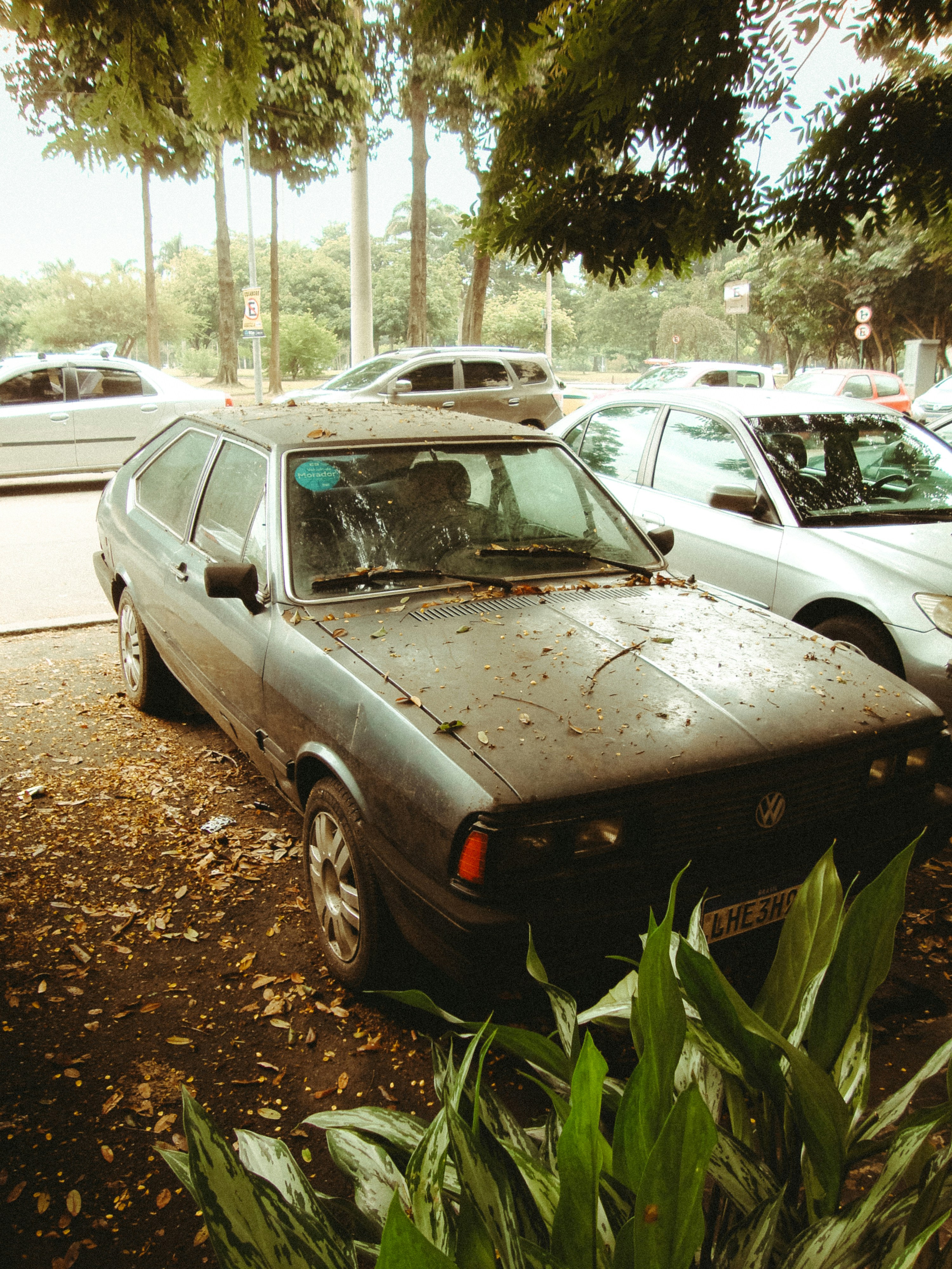 A weathered VW sedan sits in a leaf-strewn parking lot beneath overhanging trees, with other cars in the background and a plant foreground adding depth.