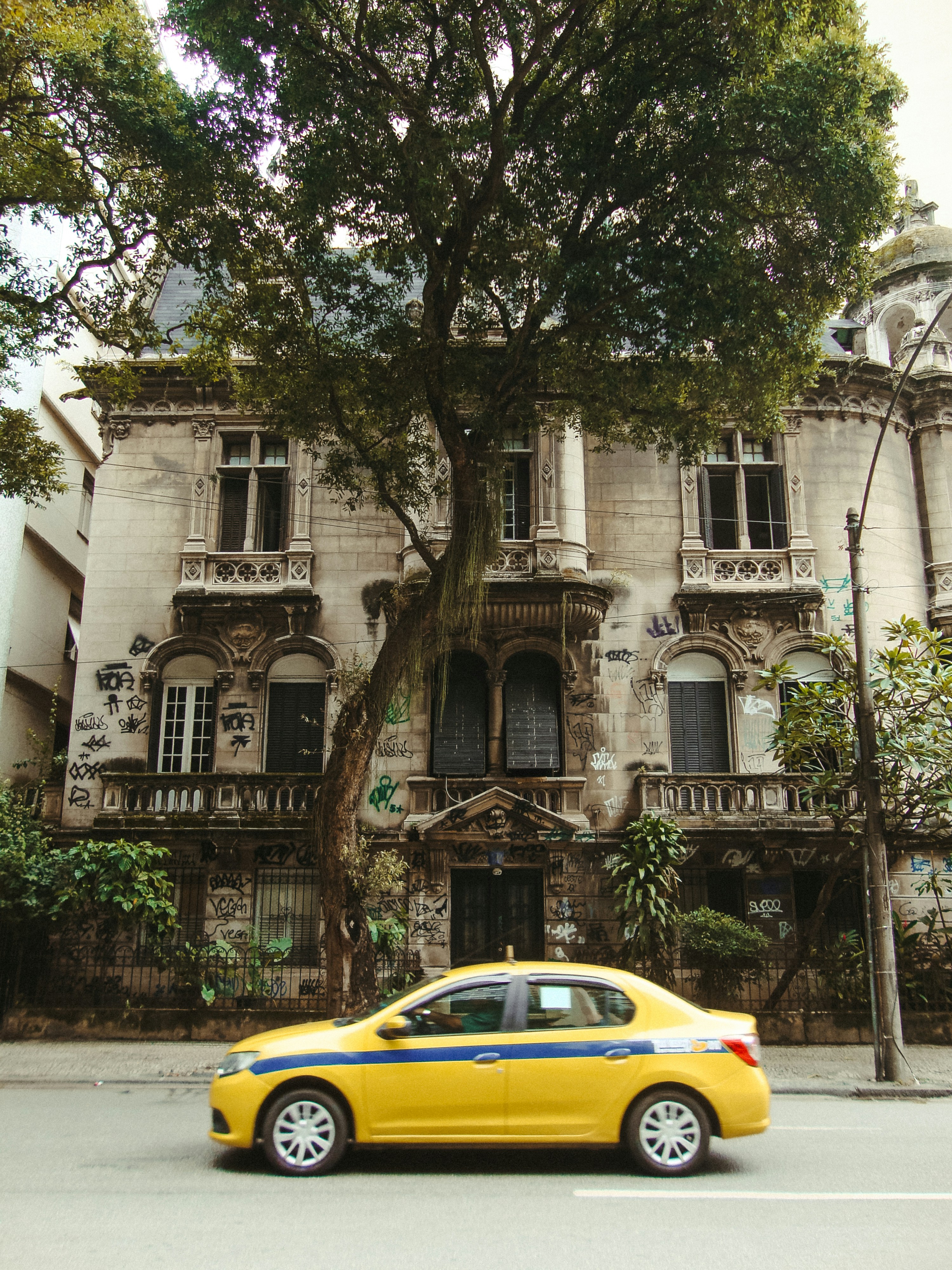 Yellow taxi in front of a decaying ornate building beneath a sprawling tree