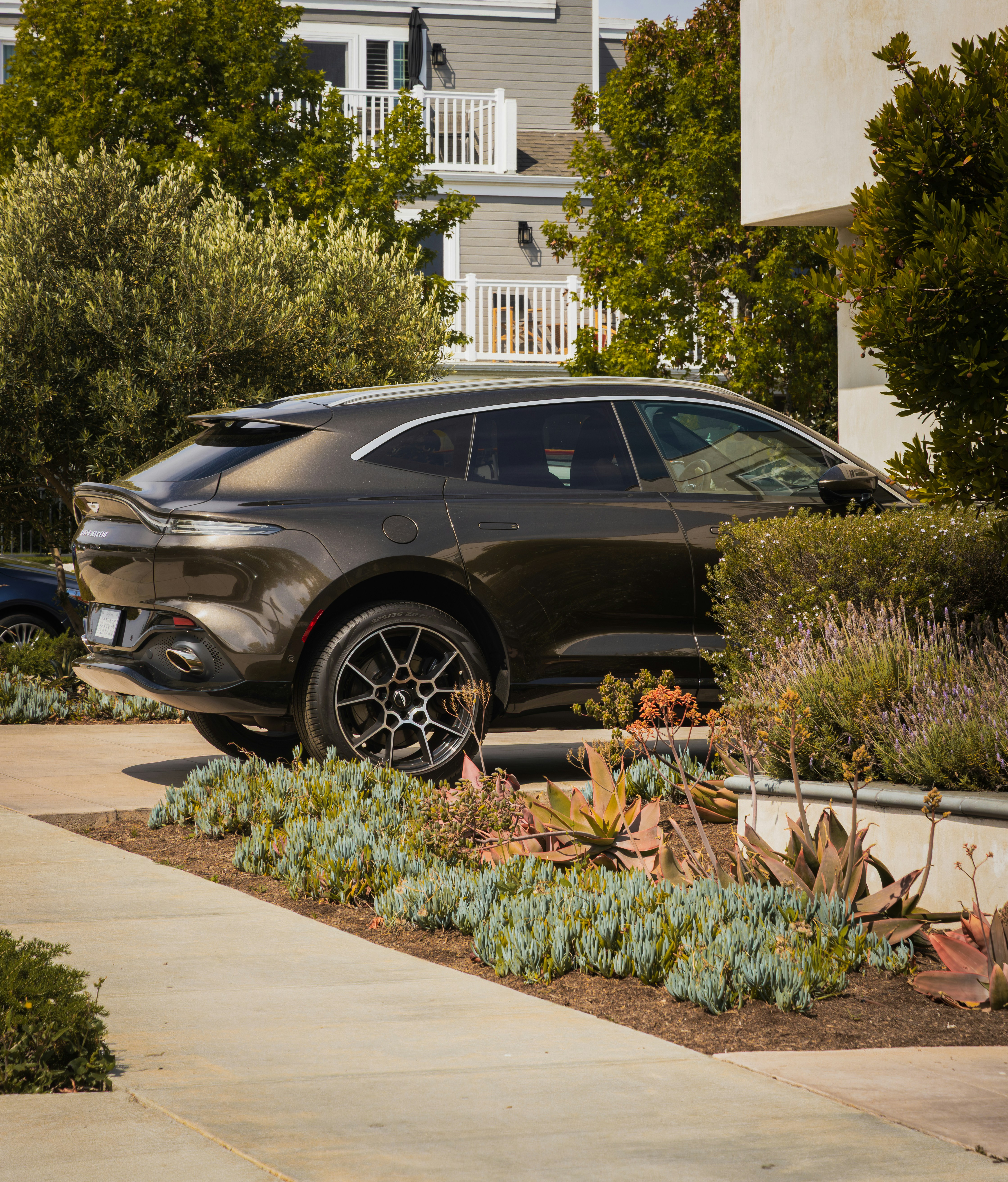 Midday Driveway: A Sleek SUV Resting Amid Desert Garden