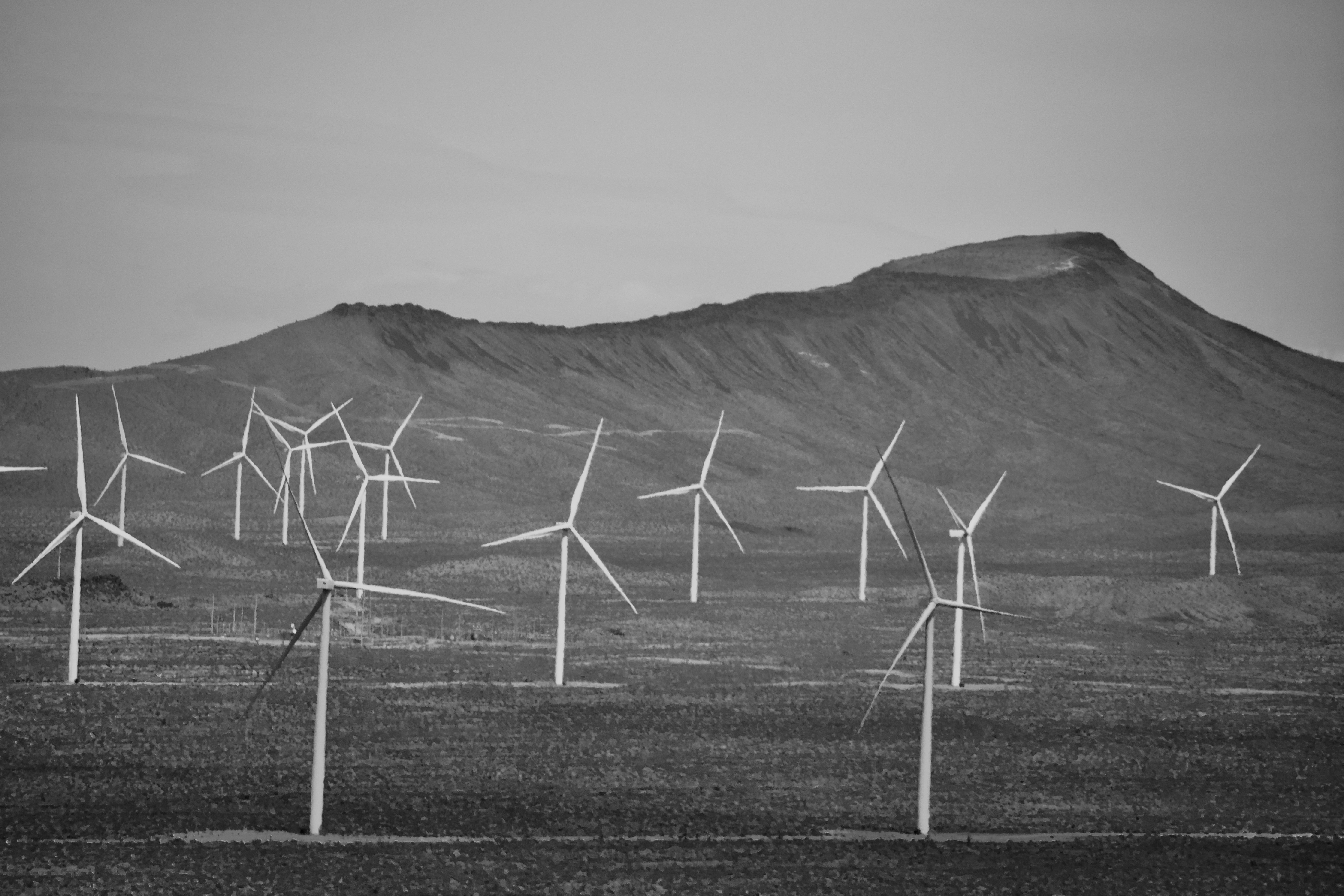 Whispers of the Wind Farm