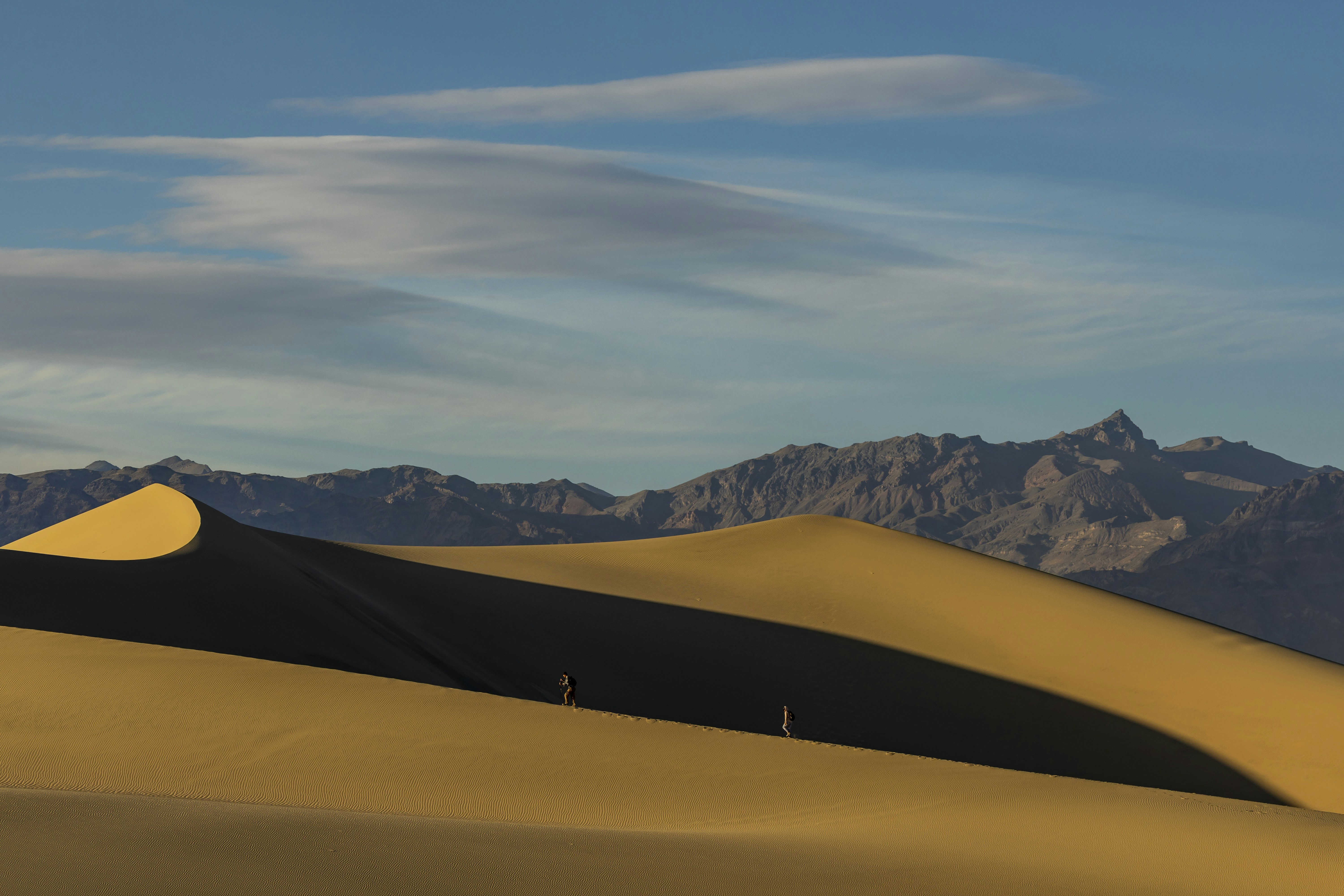 Sunken Dunes and Sky: Traces of Footsteps on a Golden Crest