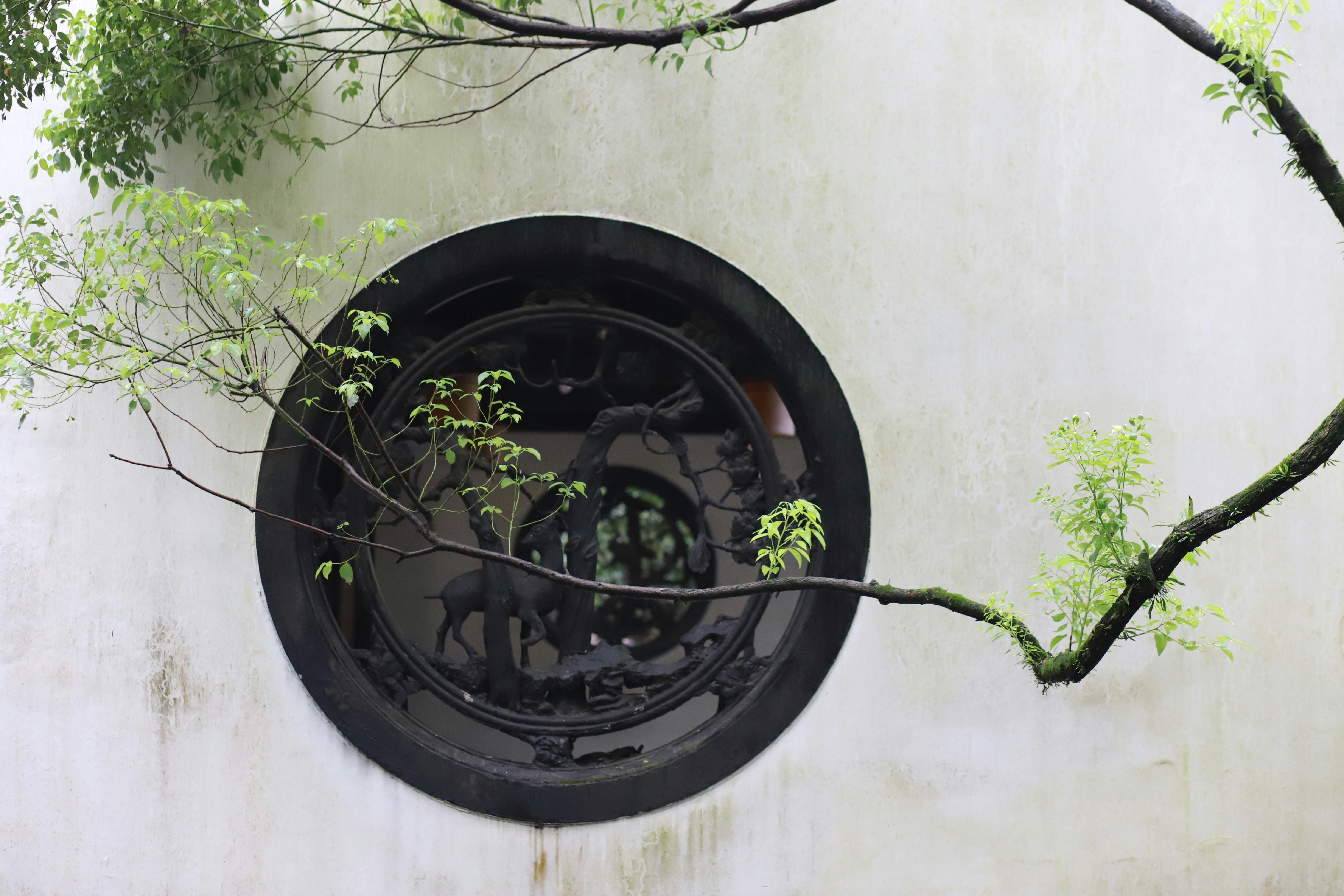 Hidden Circle: Venturing Through a Window of Green