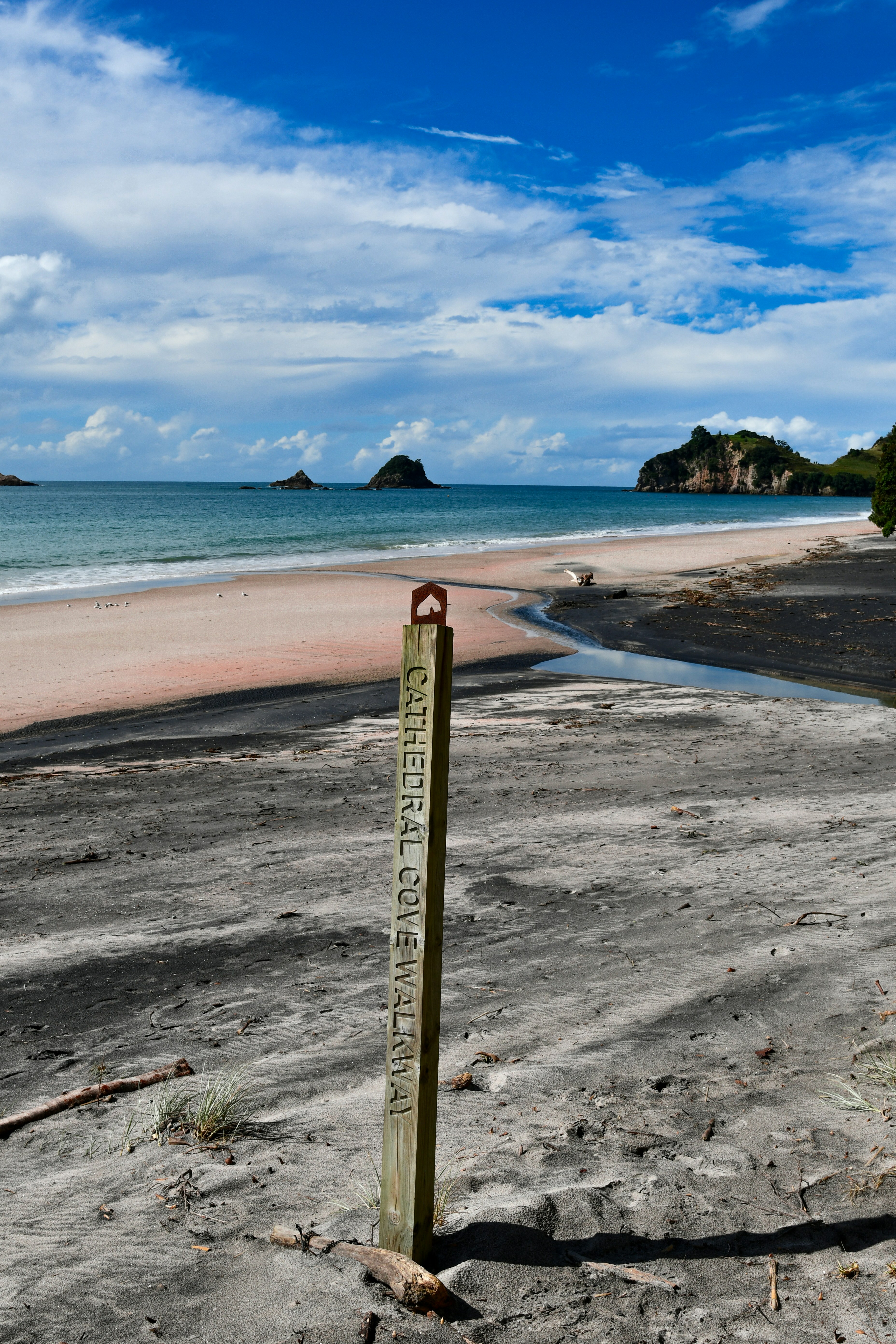 Driftwood Marker Seaward: A Quiet Shore with Pink Sand