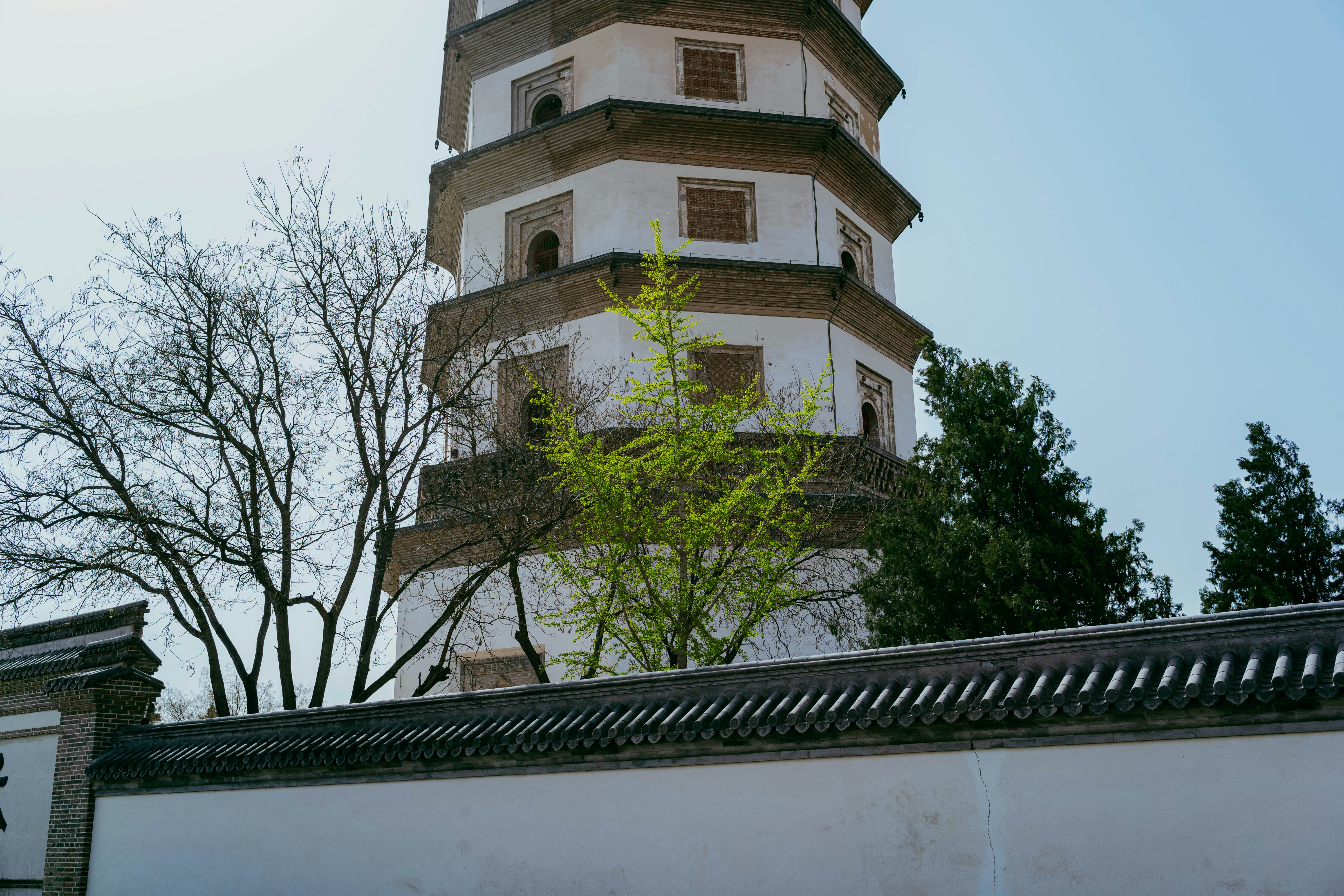 Stone Pagoda Framed by a Quiet Oasis of Wall and Trees