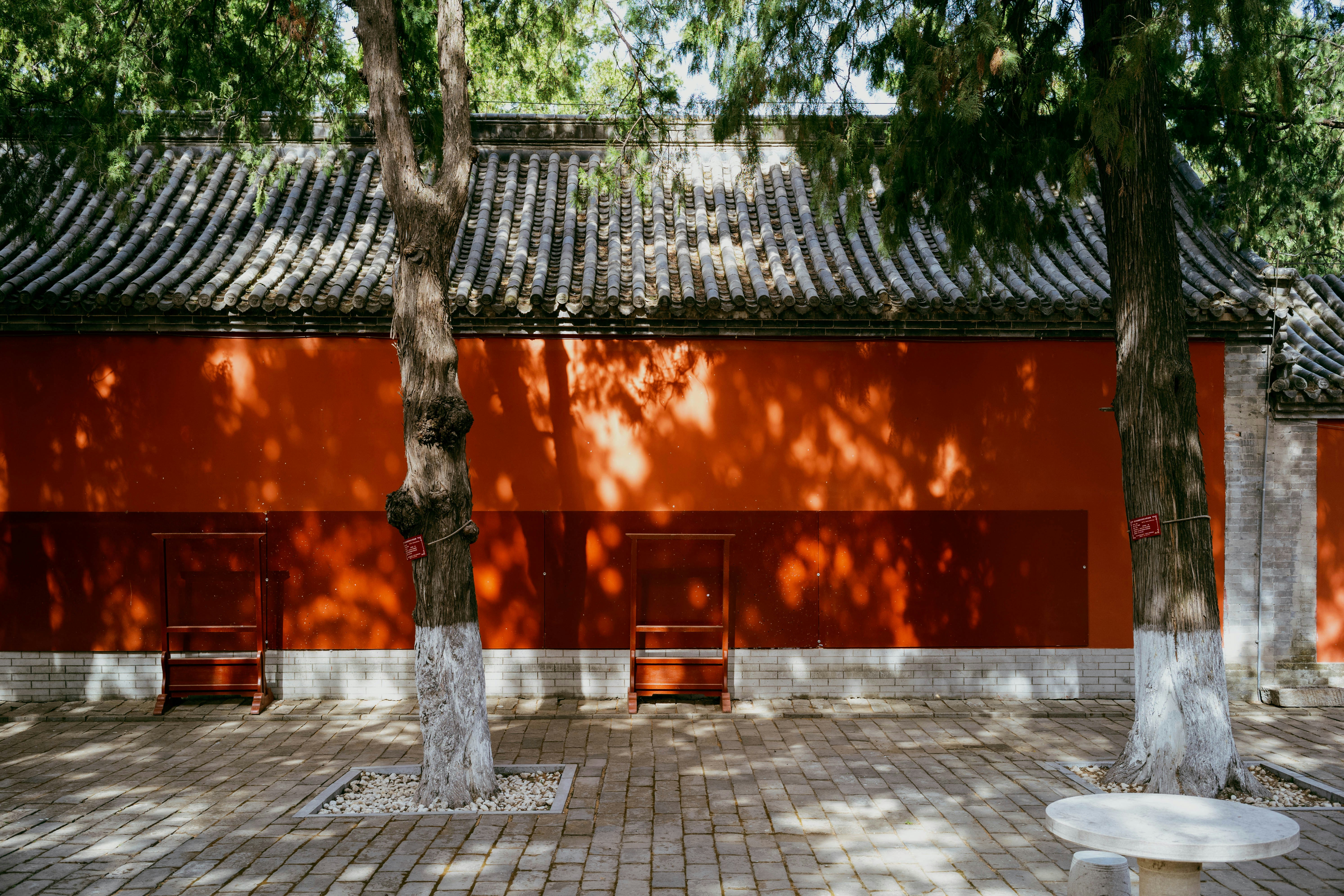 Sunlit Red Wall and Shadowed Trees in Quiet Courtyard