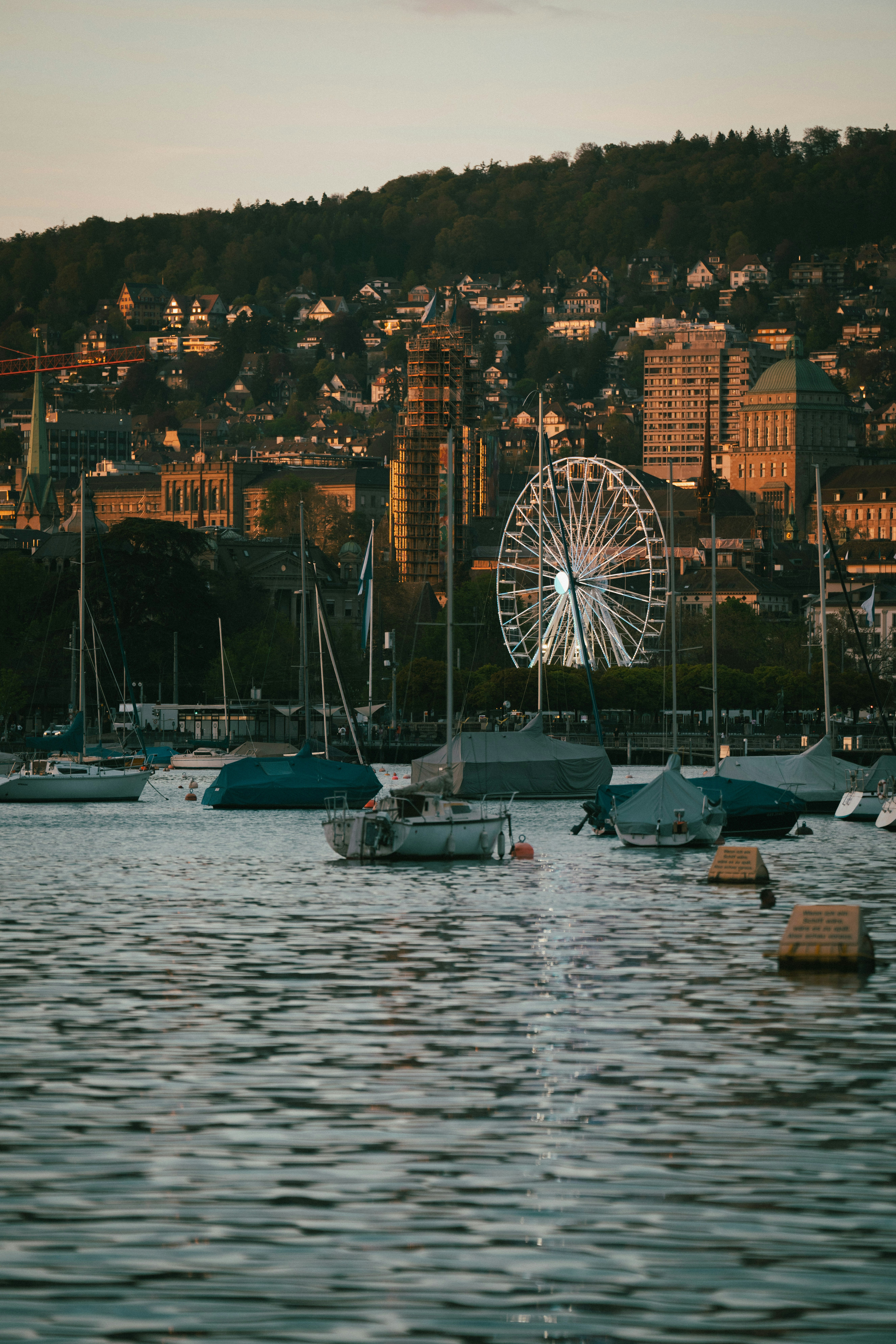 Harbor Lights: Ferris Wheel Against a Cascade of Townalawn