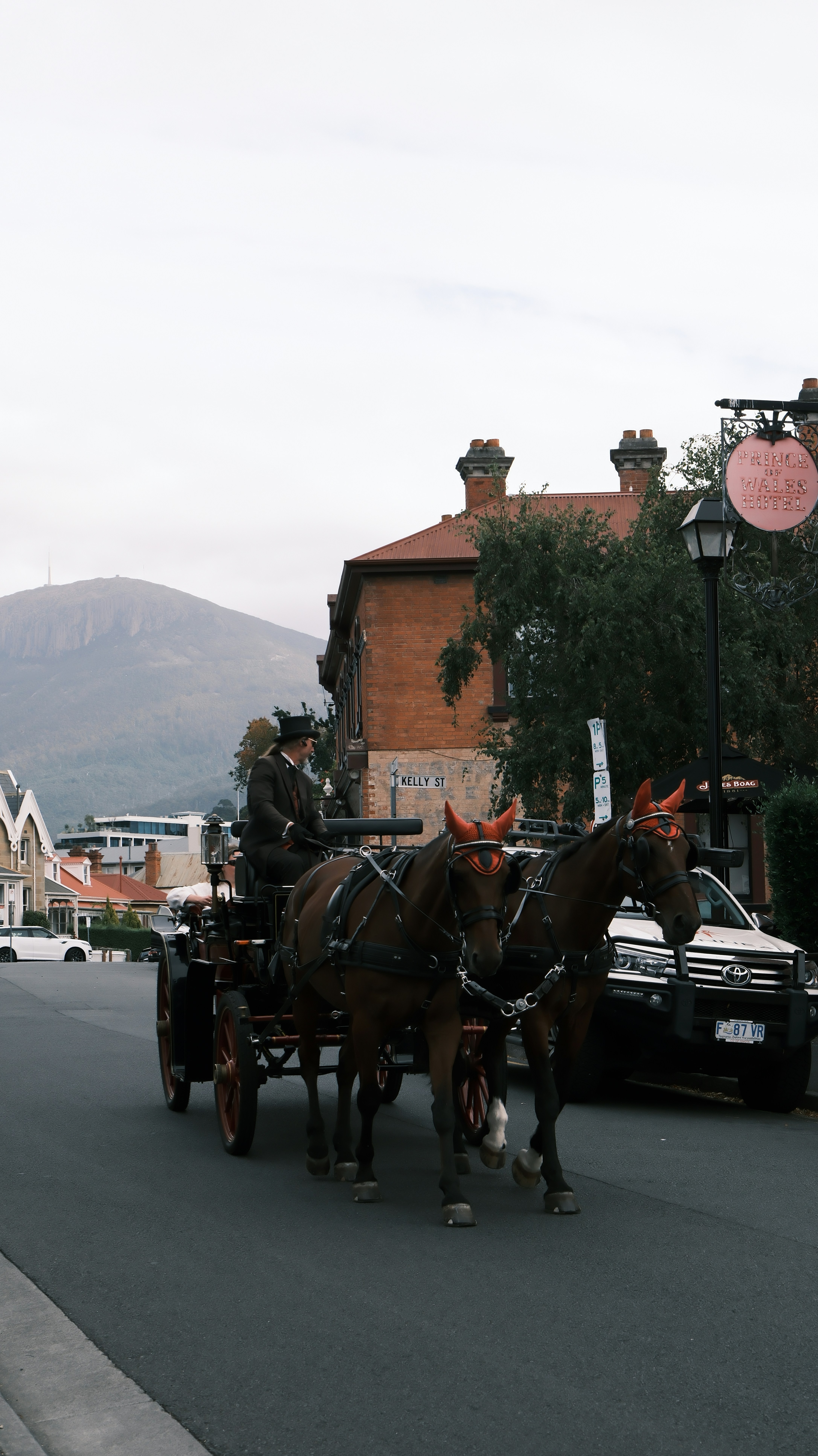 Horse-drawn Carriage Through a Quiet Town