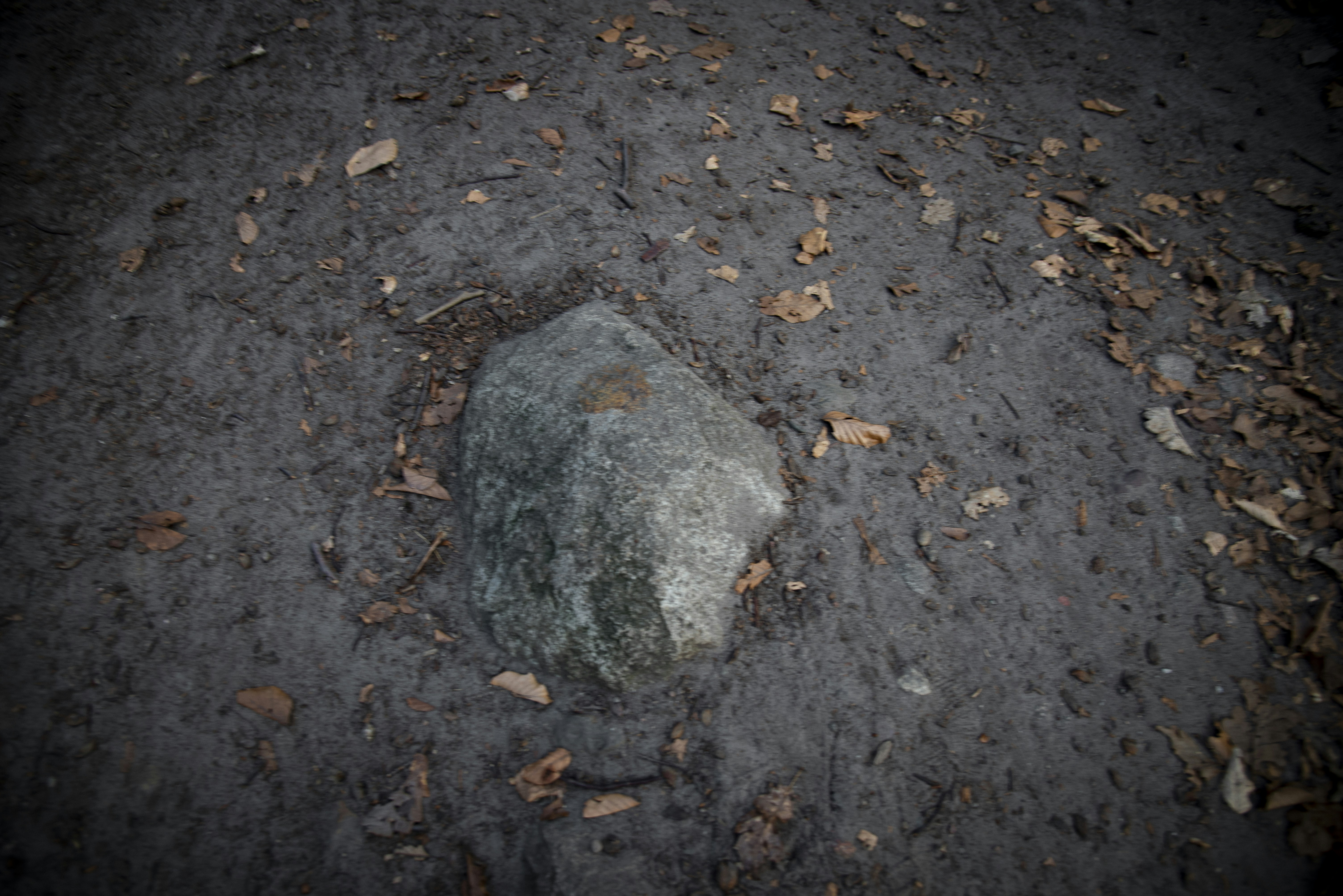 Single Weathered Rock on Gravel Path