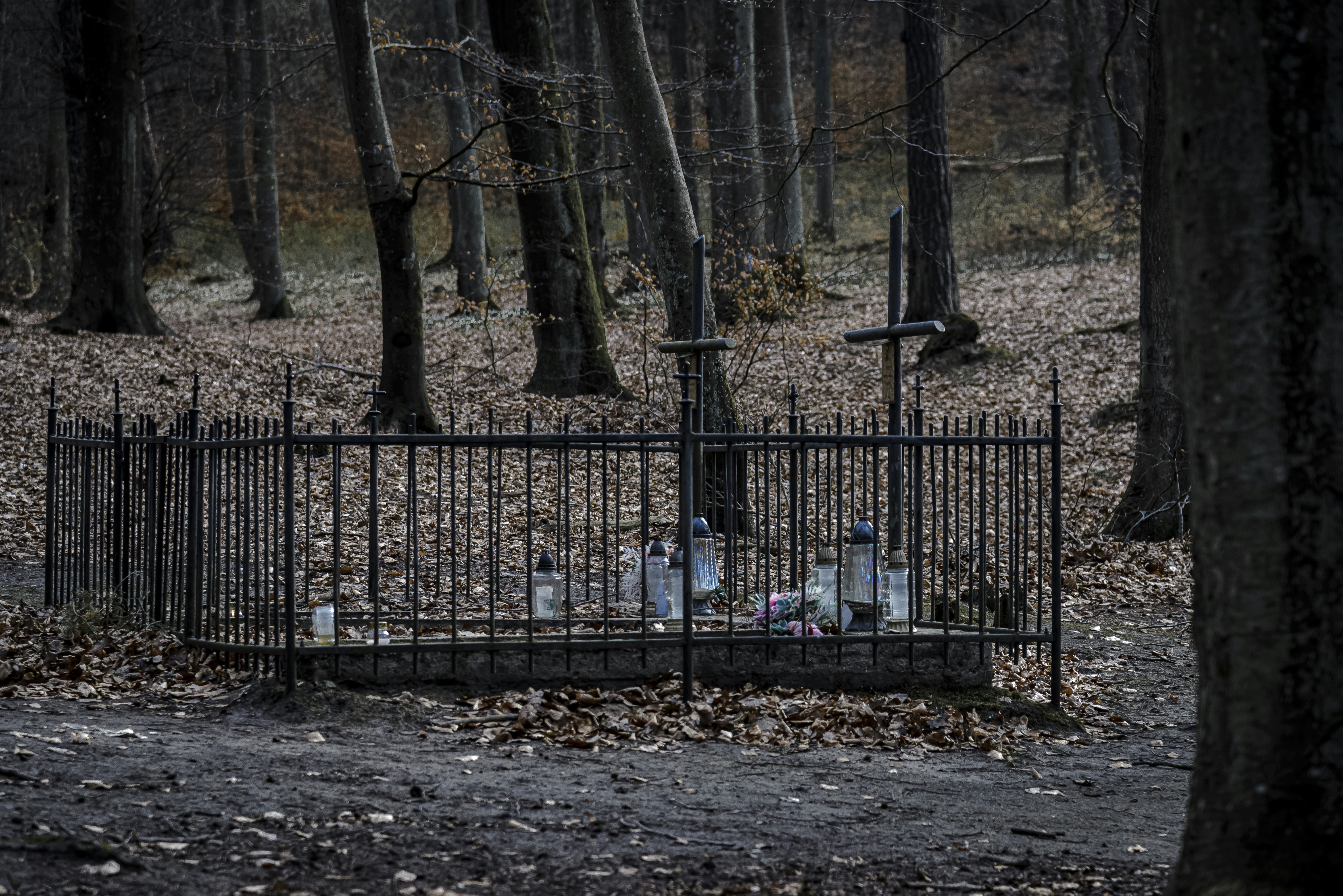 Winter Quiet at the Forgotten Shrine