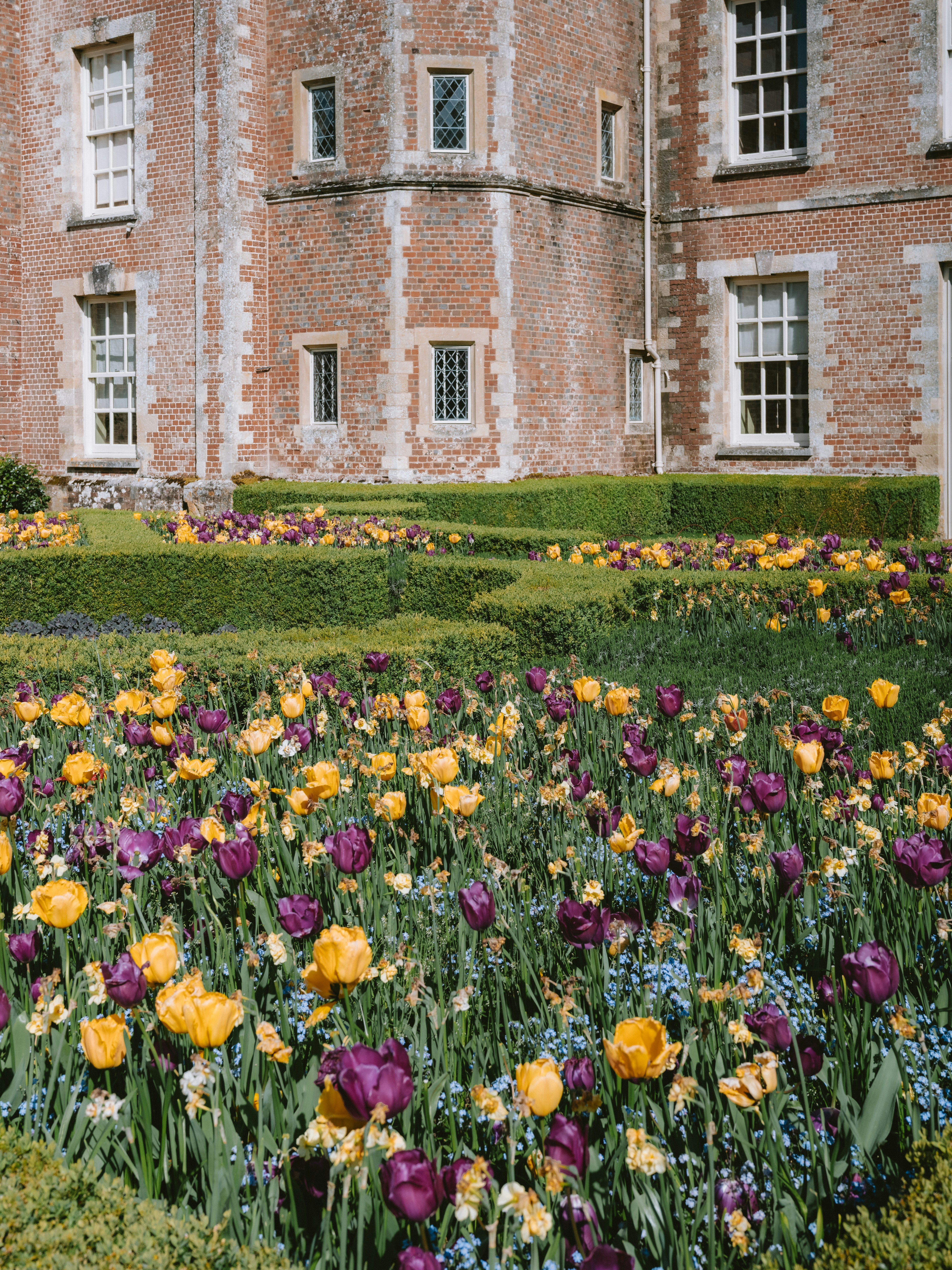 Tulip Terrace by the Brick Manor