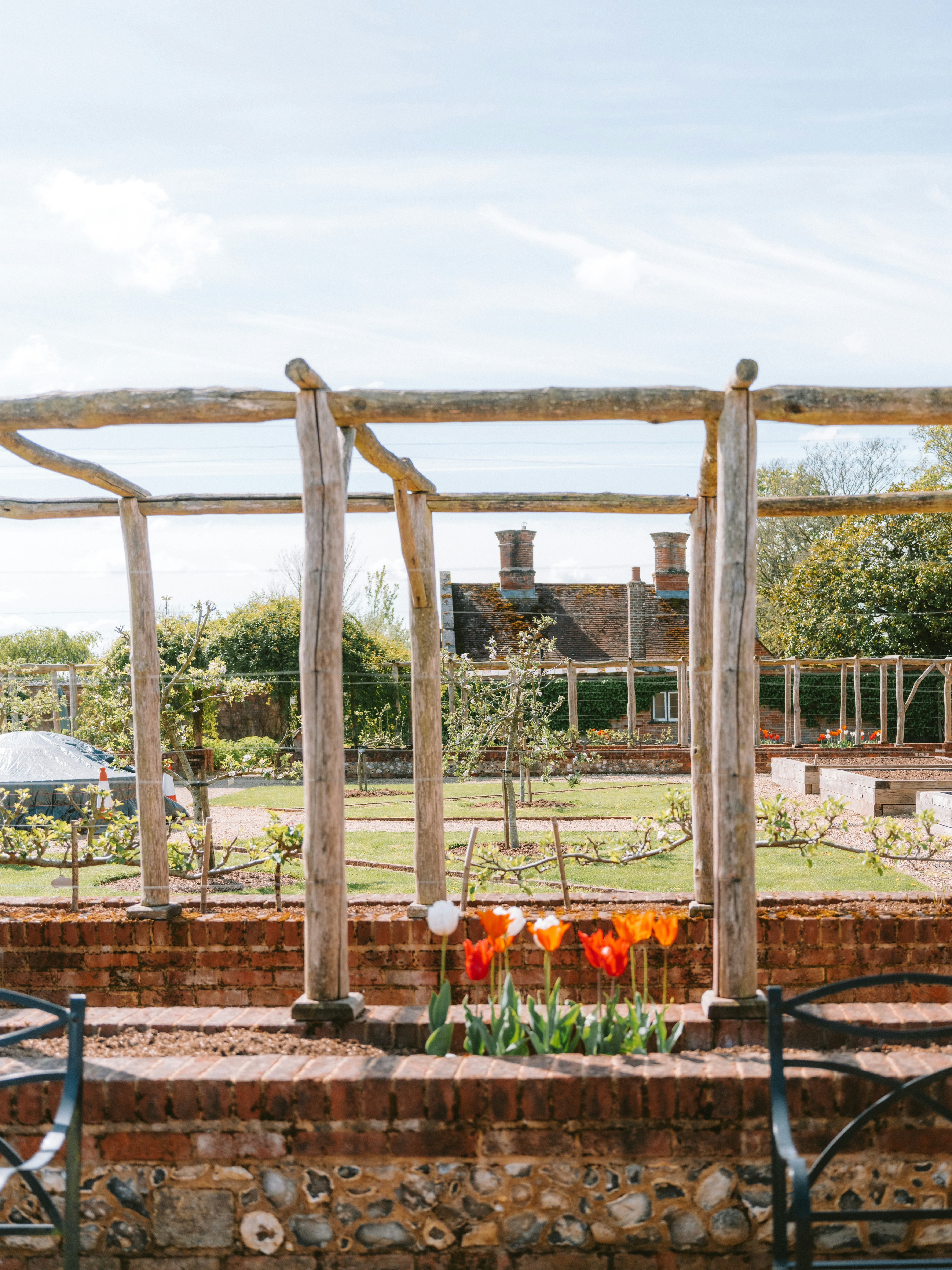 Tulips at the Brick Wall: A Quiet Garden Vista under Rustic Pergola