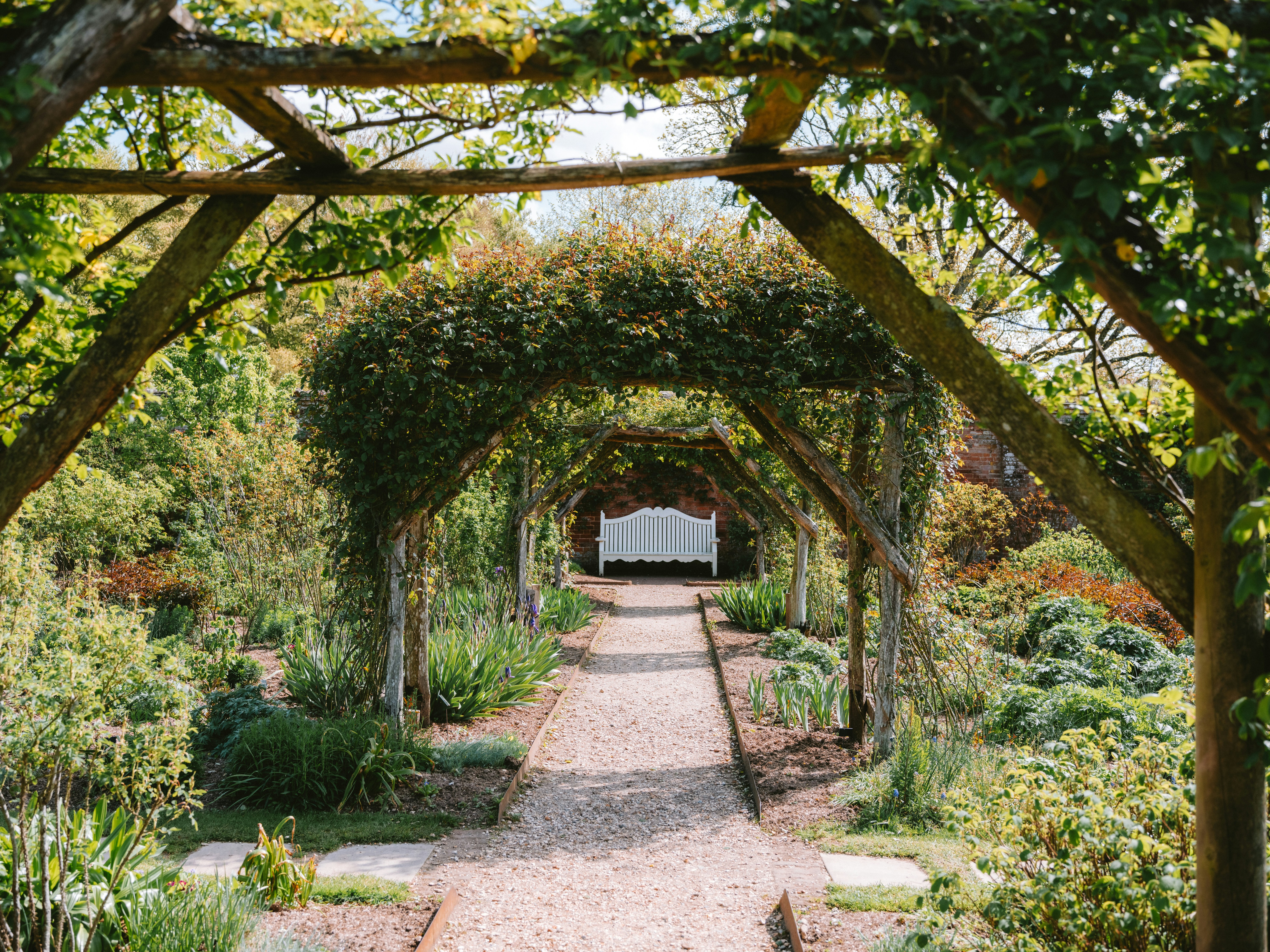 Garden Archway Tunnel: A Symmetrical Path Through Living Trellis