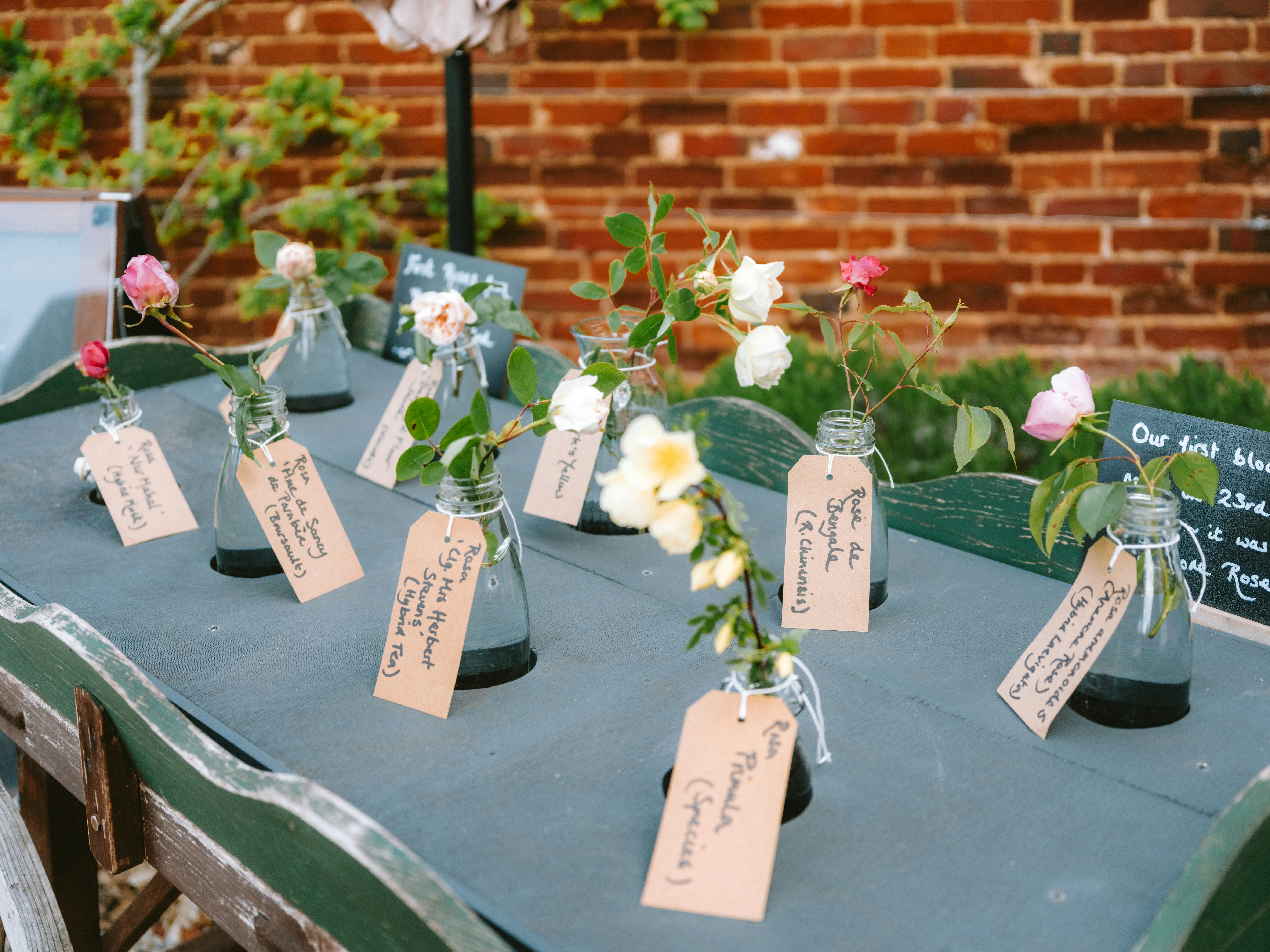 Vase Study: A Row of Budding Roses with Tagged Quotes on a Rustic Table