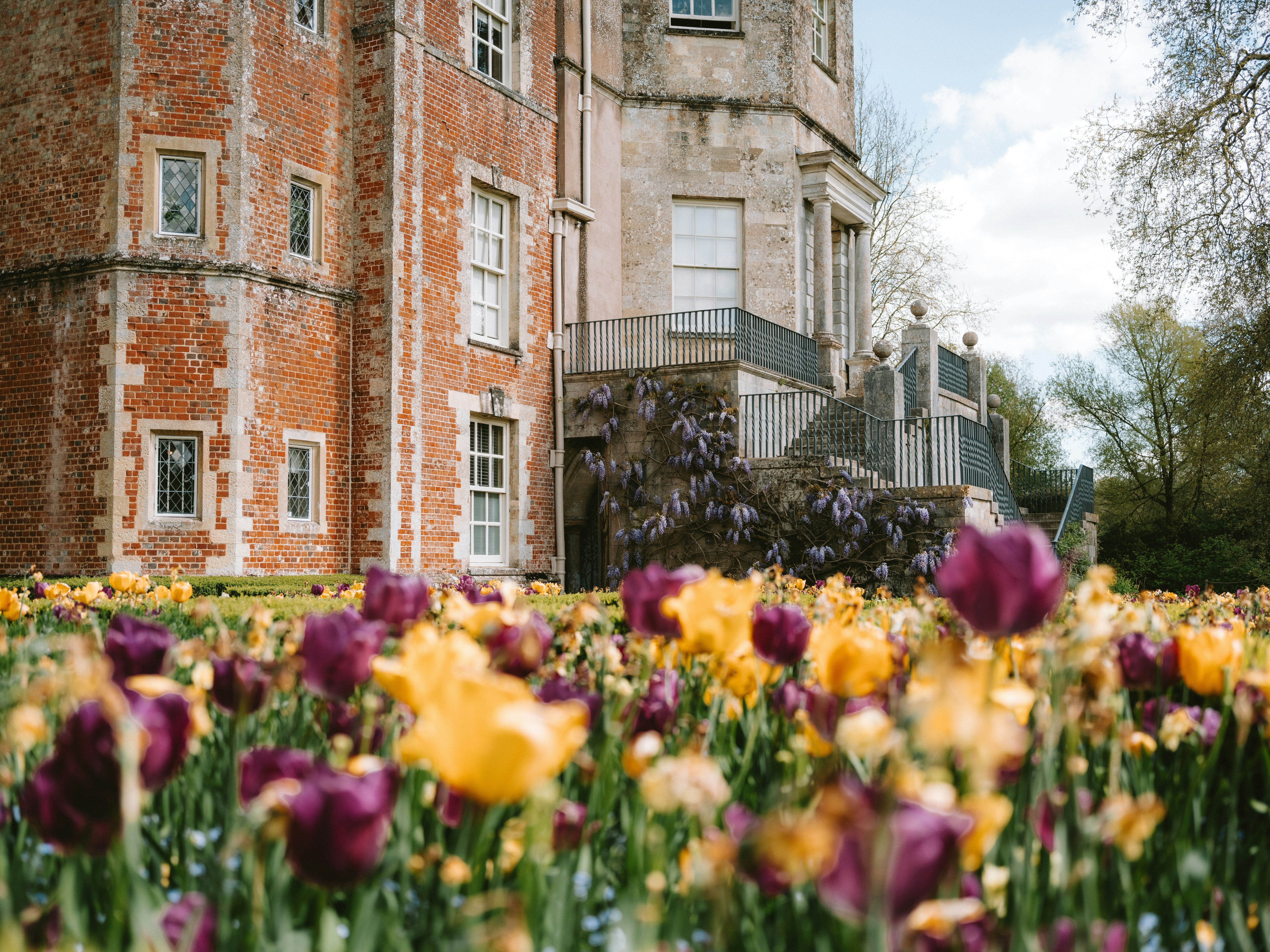 Blooms at the Manor: Tulips Framing a Brick Estate