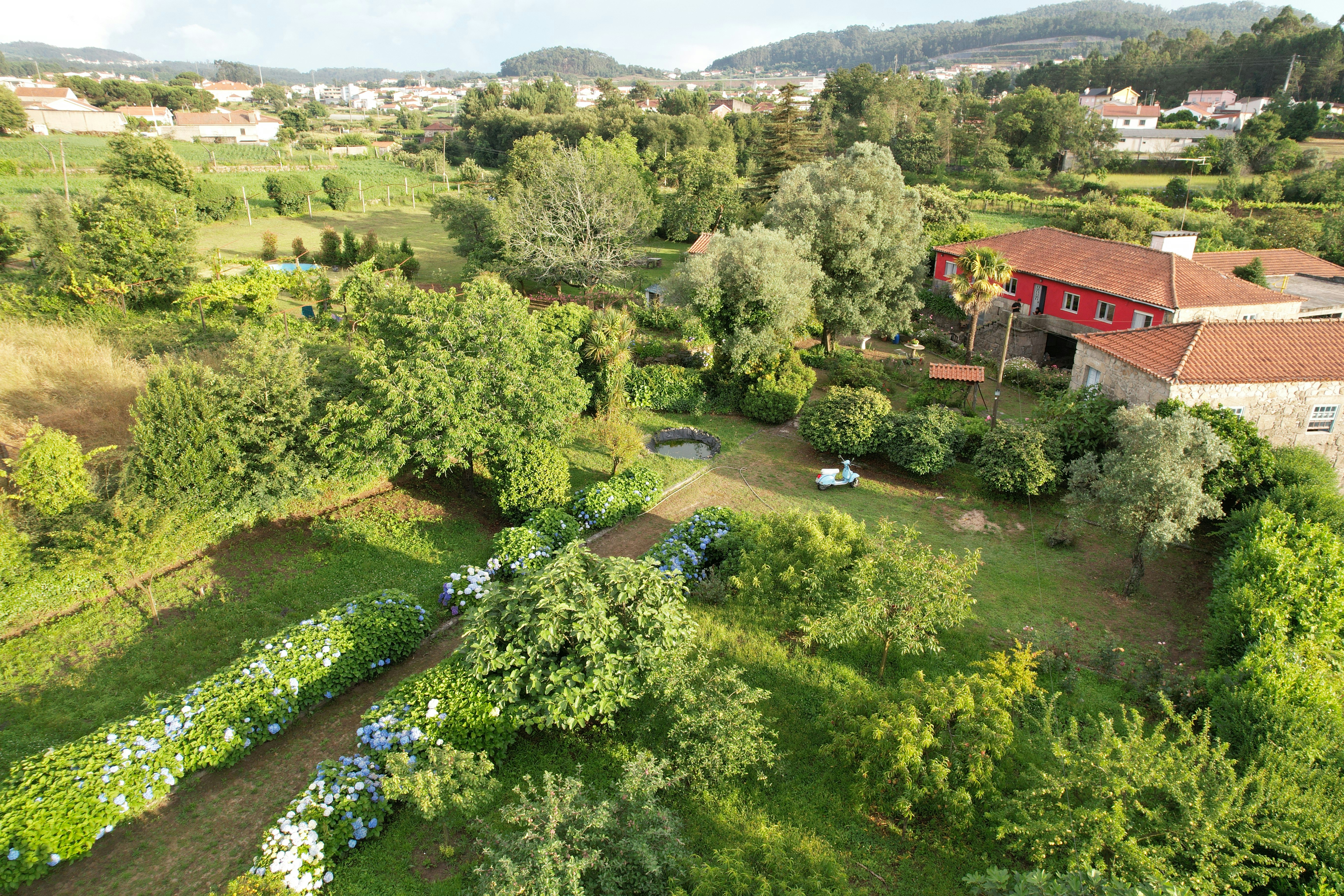 Aerial hush over a sunlit village garden