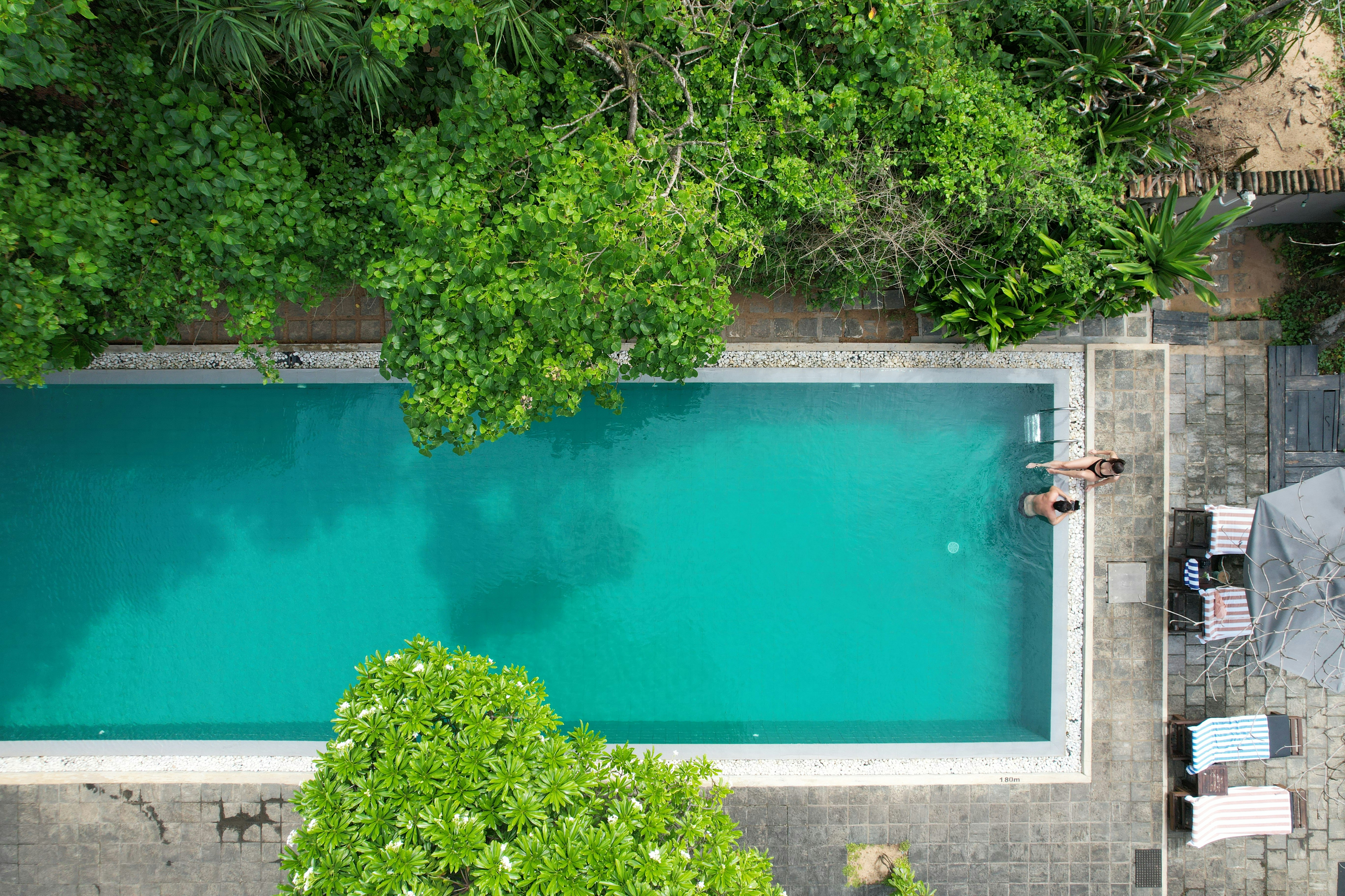 Overhead Oasis: A Teal Pool Framed by Green Canopy