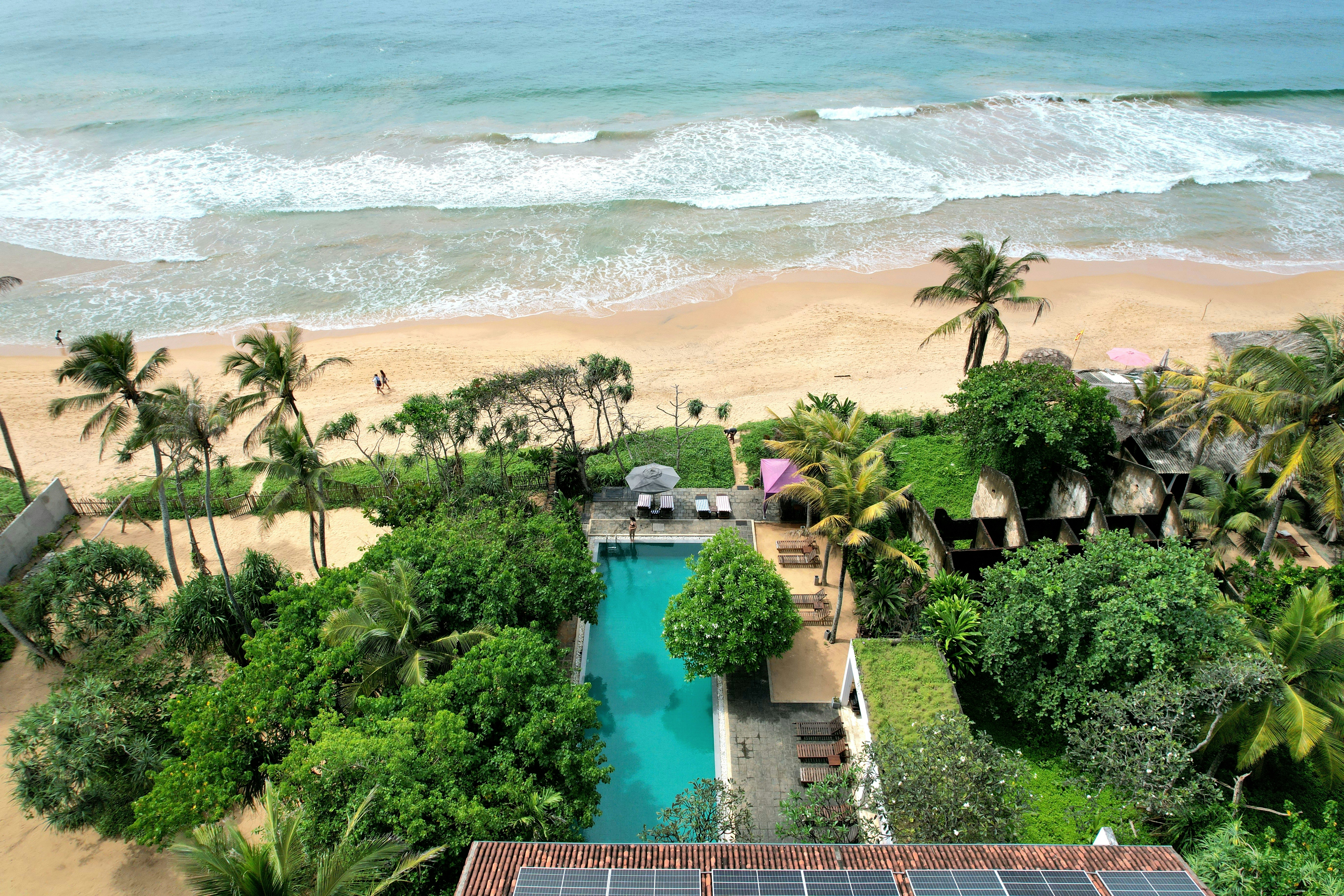 Coastal Oasis: Aerial Retreat Between Sand, Sea, and Palms
