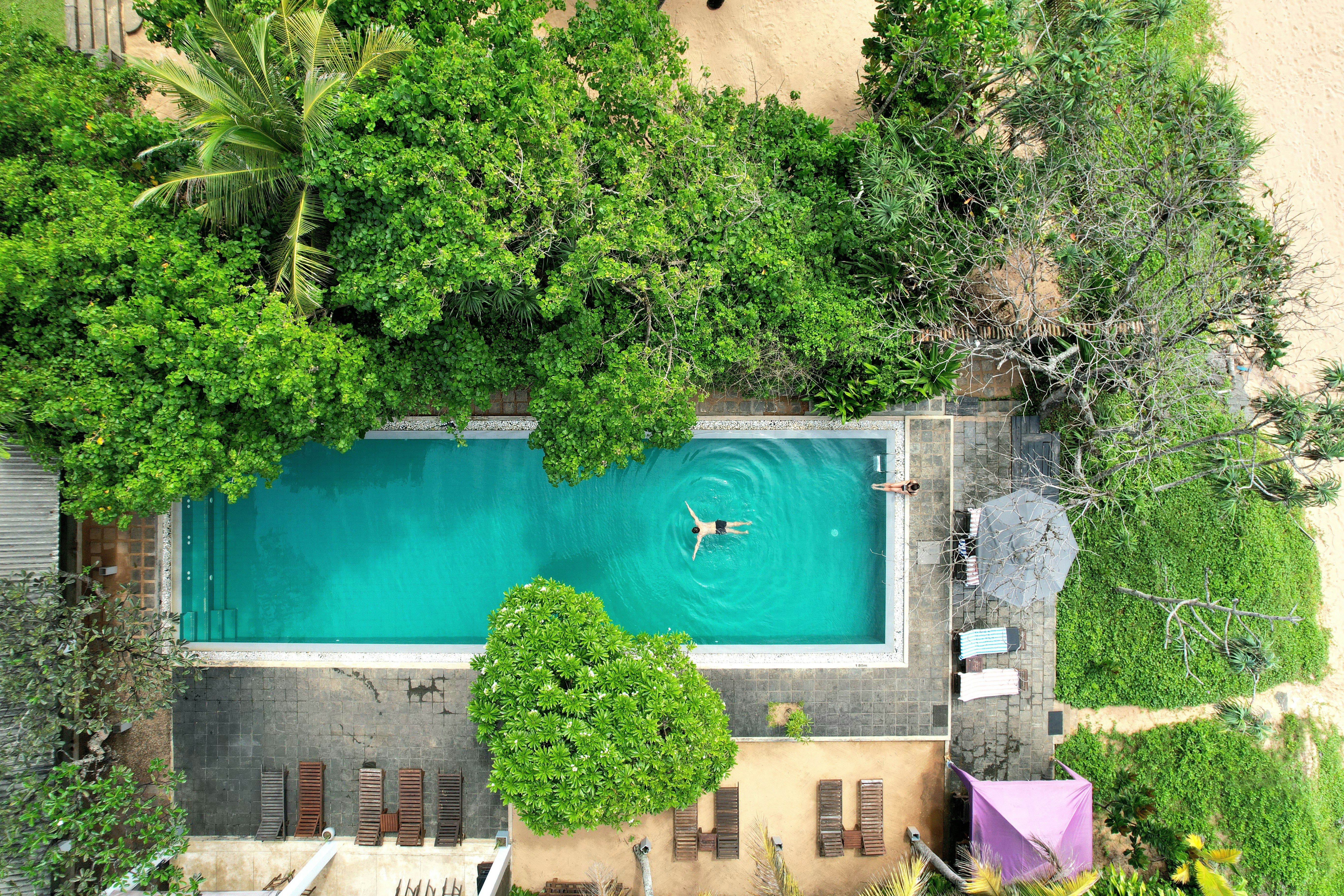 Top-Down Oasis: A Bright Pool Framed by Tropical Canopy