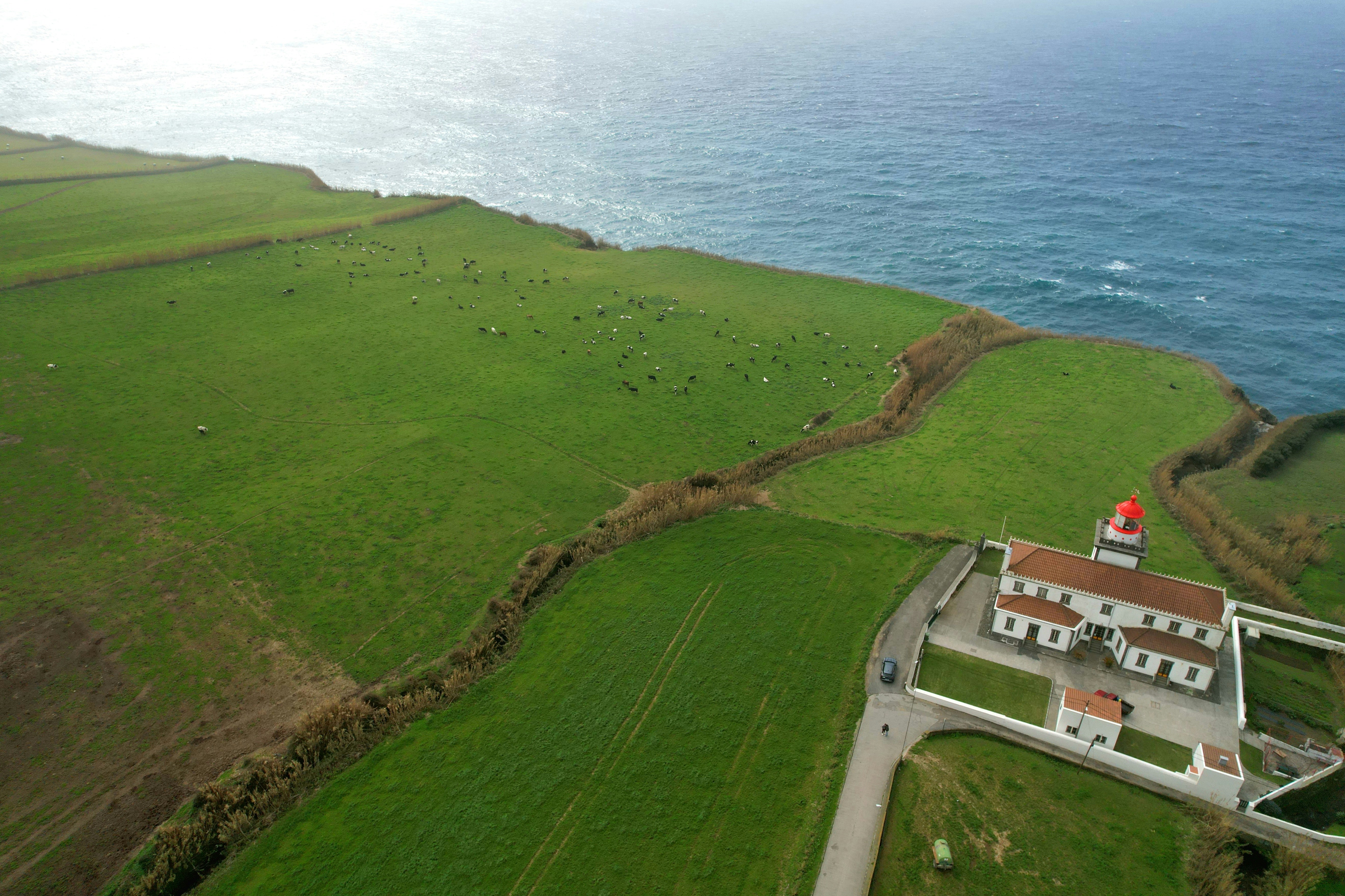 Lighthouse Keepers' Grounds Over Green Cliffs by the Sea