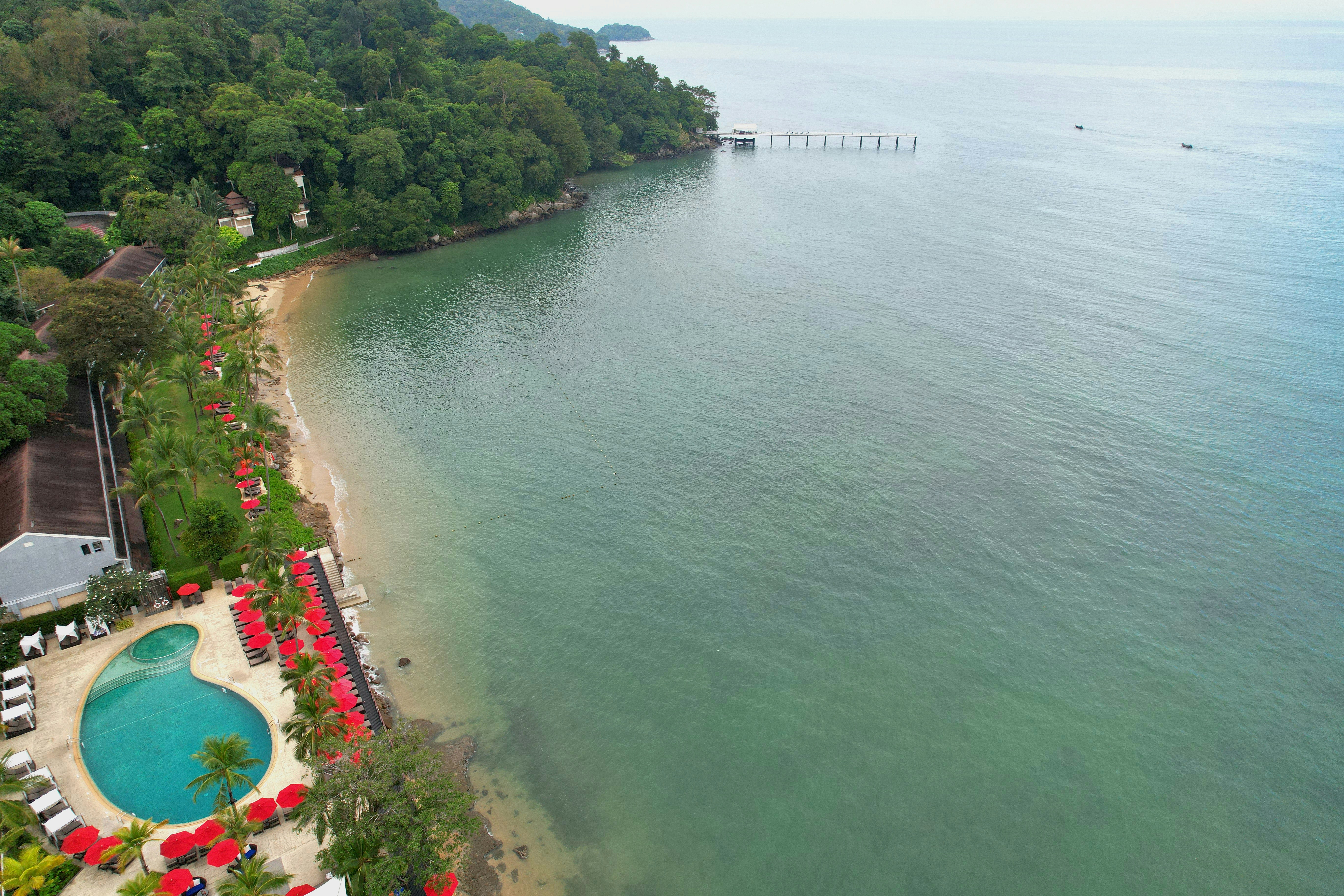 Coastal Resort Aerial: Pool, Palm, and Crescent Shoreline