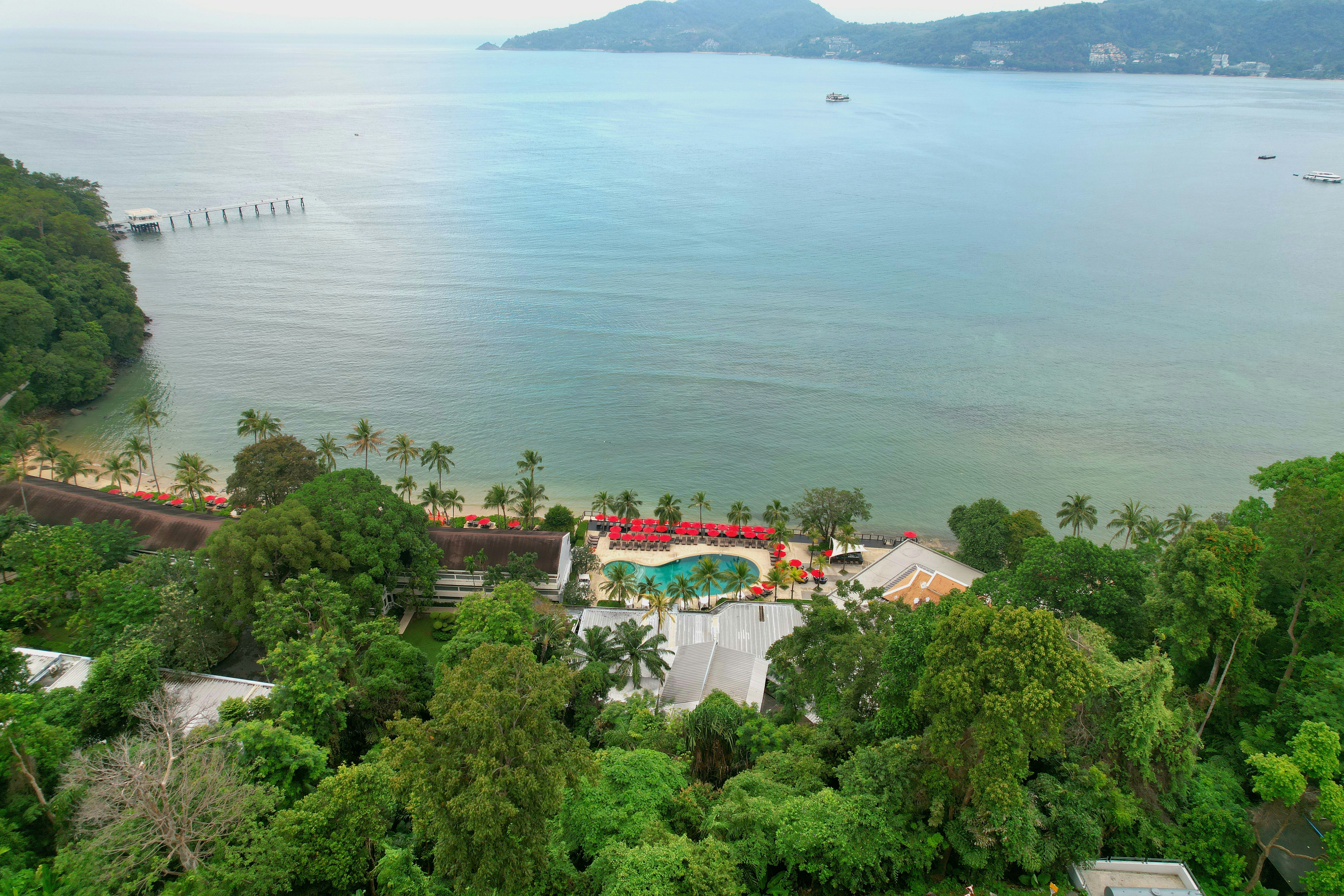 Tropical Resort Oasis Nestled Between Verdant Canopy and Calm Seas