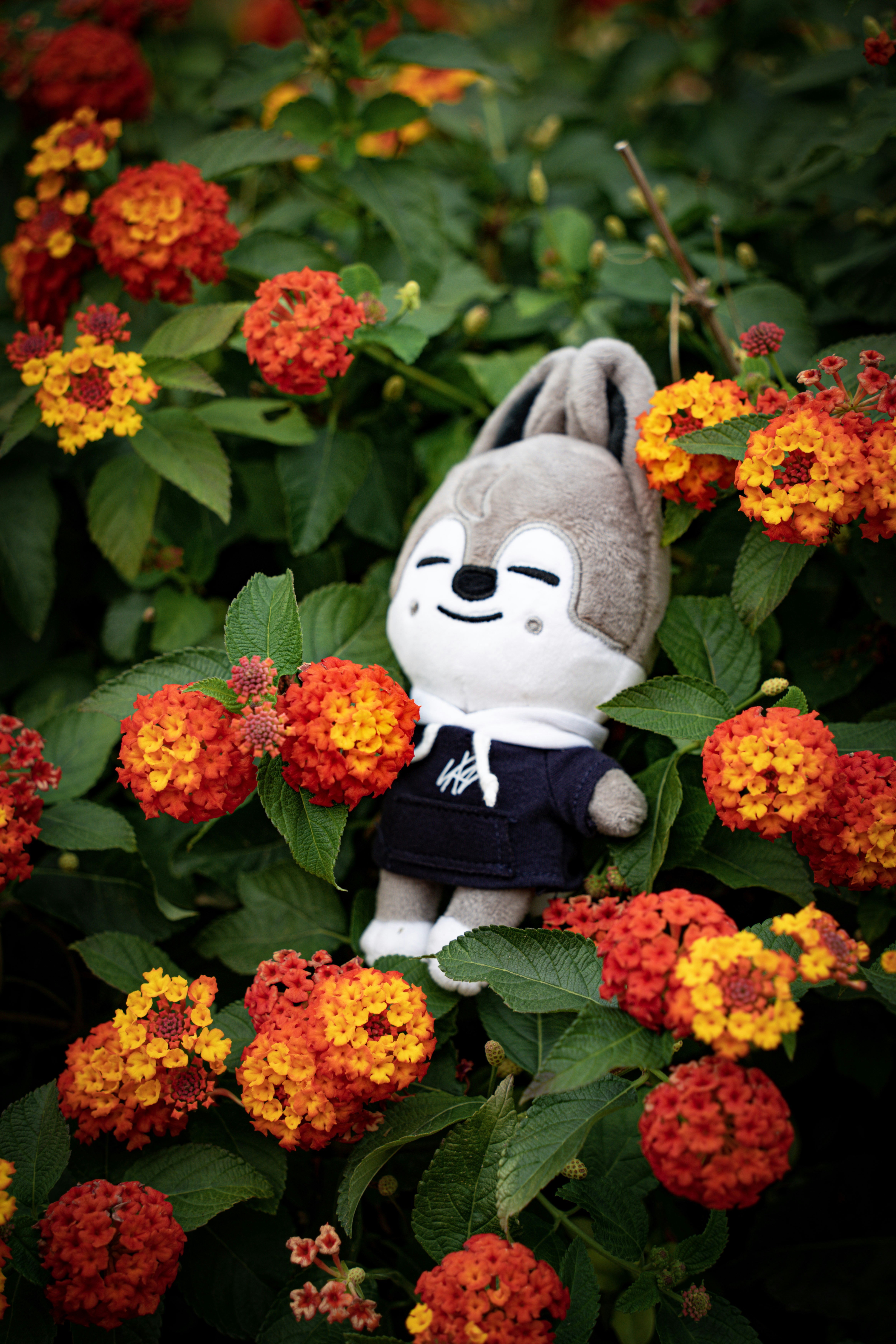 Smiling teddy among vivid blooms
