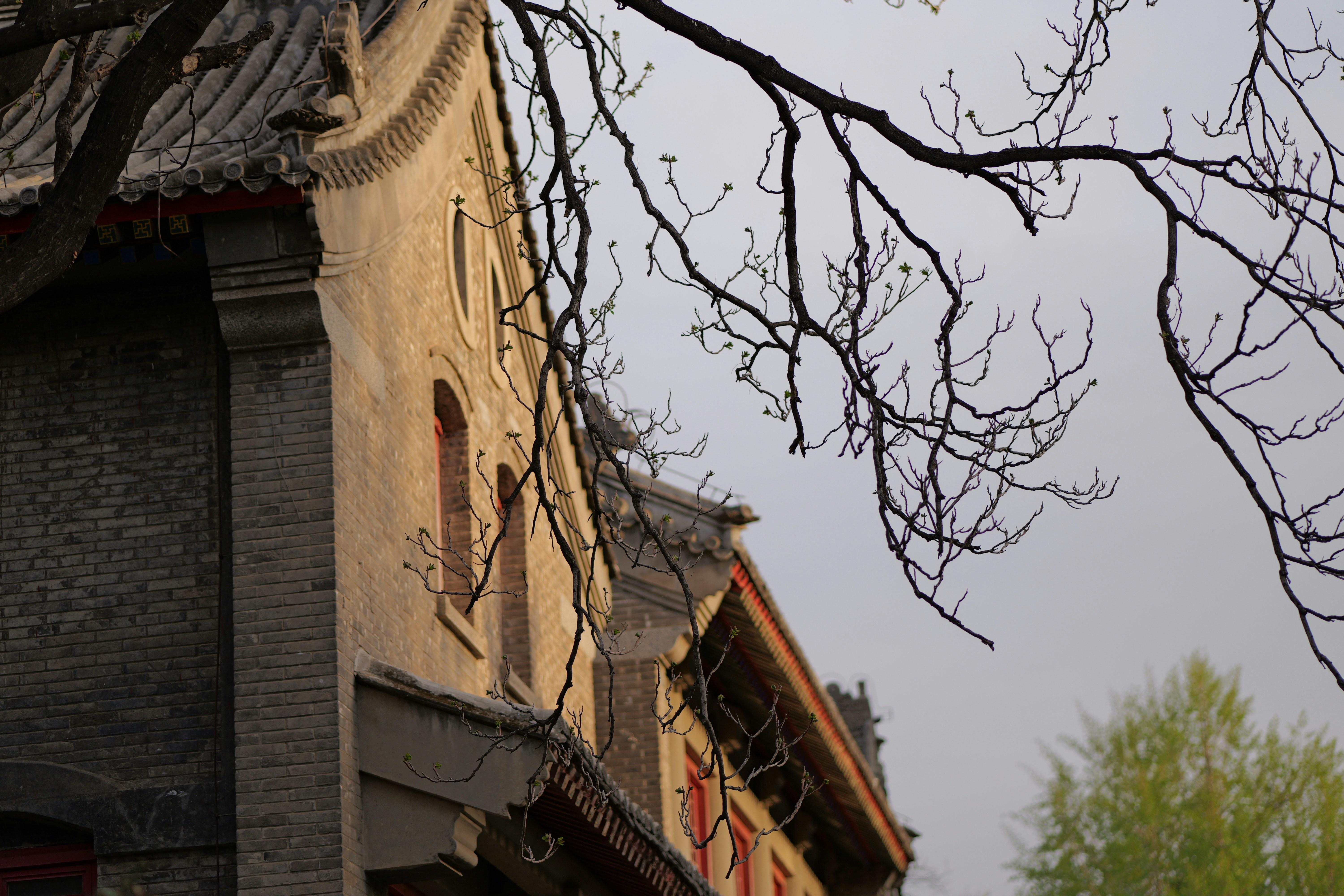 Temple Rooflines under Winter Branches