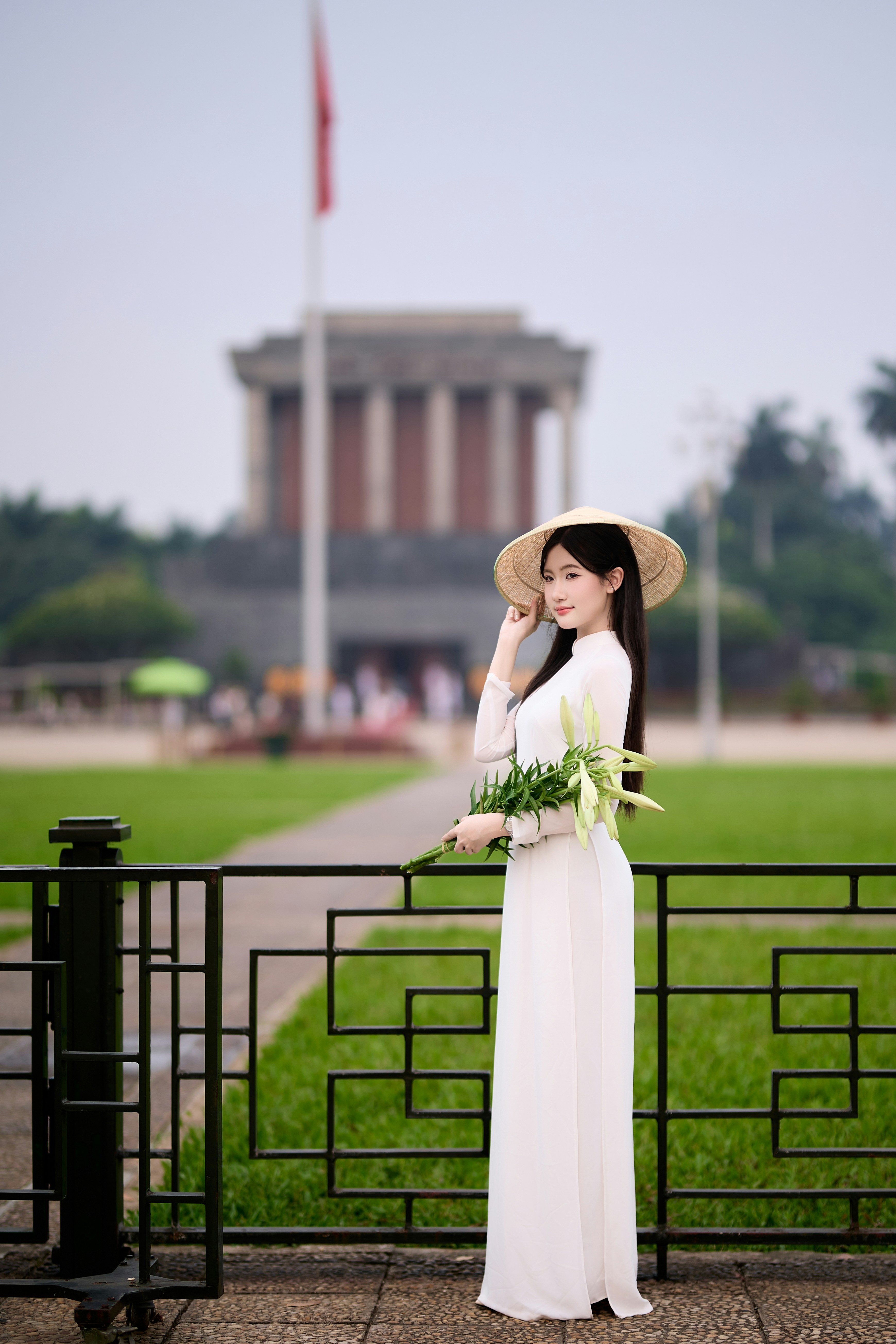 Elegance Above the Lantern Walk