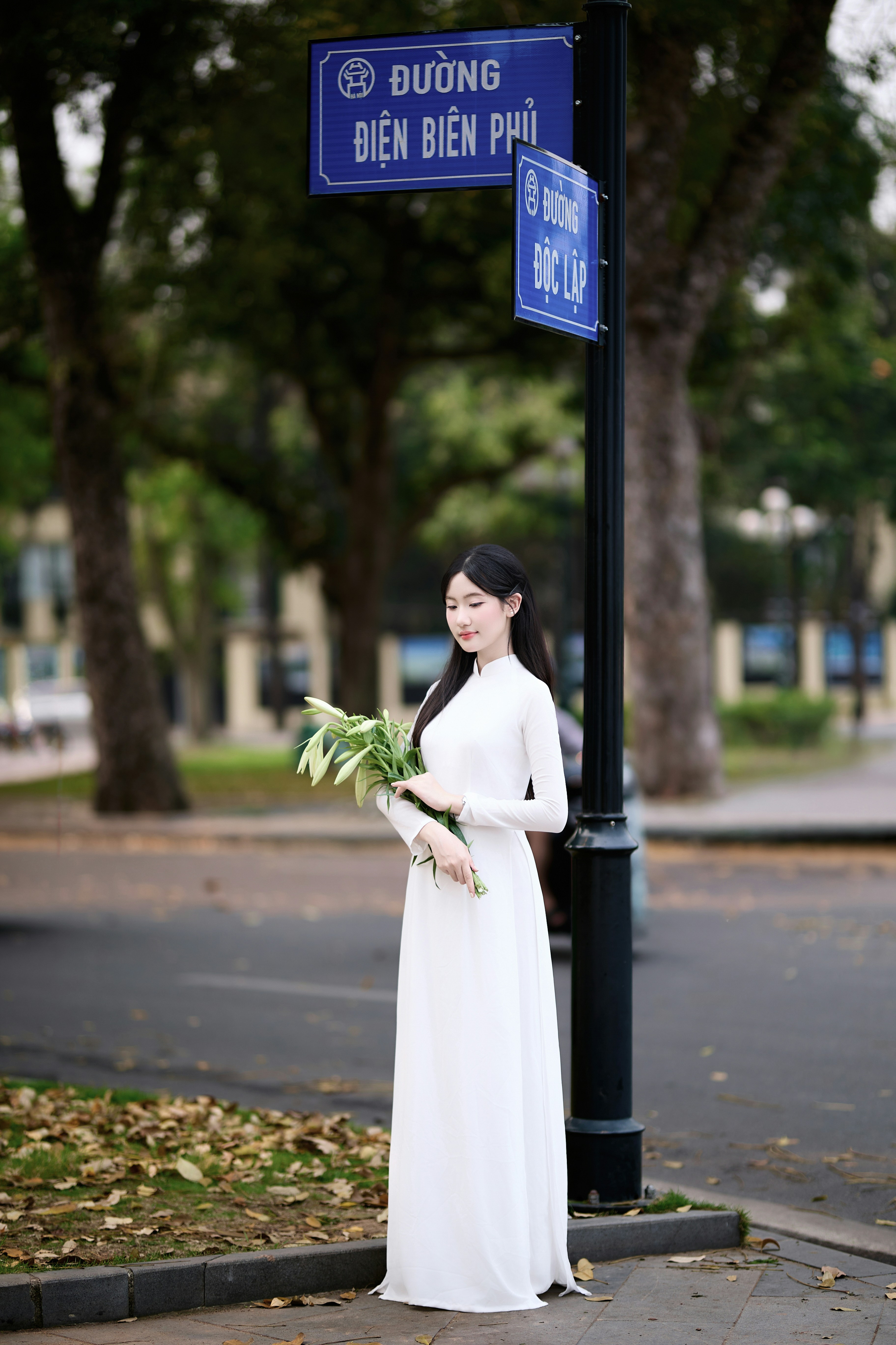 Herald of Calm: A Friar-white Áo Dài Beneath a Park Lamp