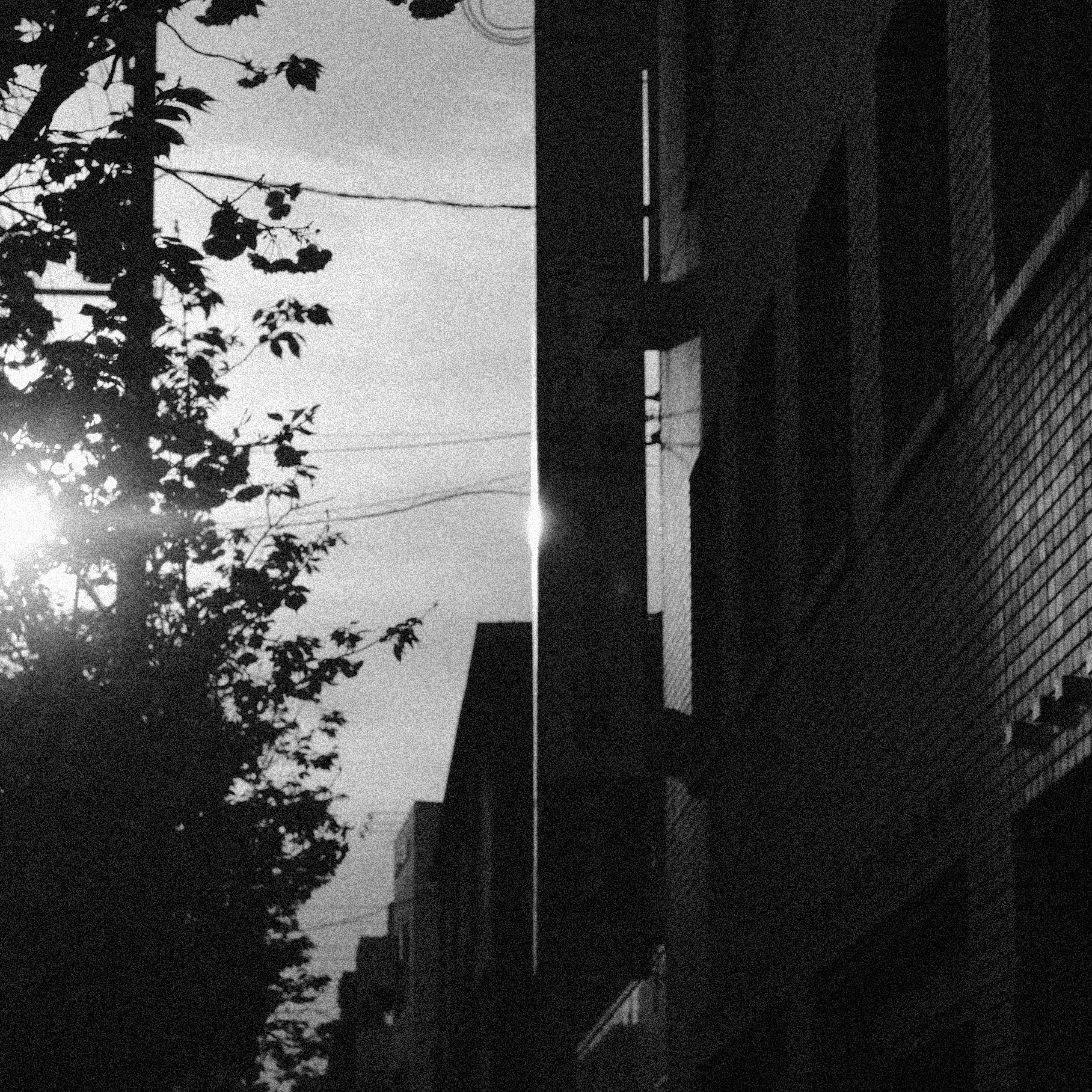 Sunlit Alleyway Between Tall Bricks