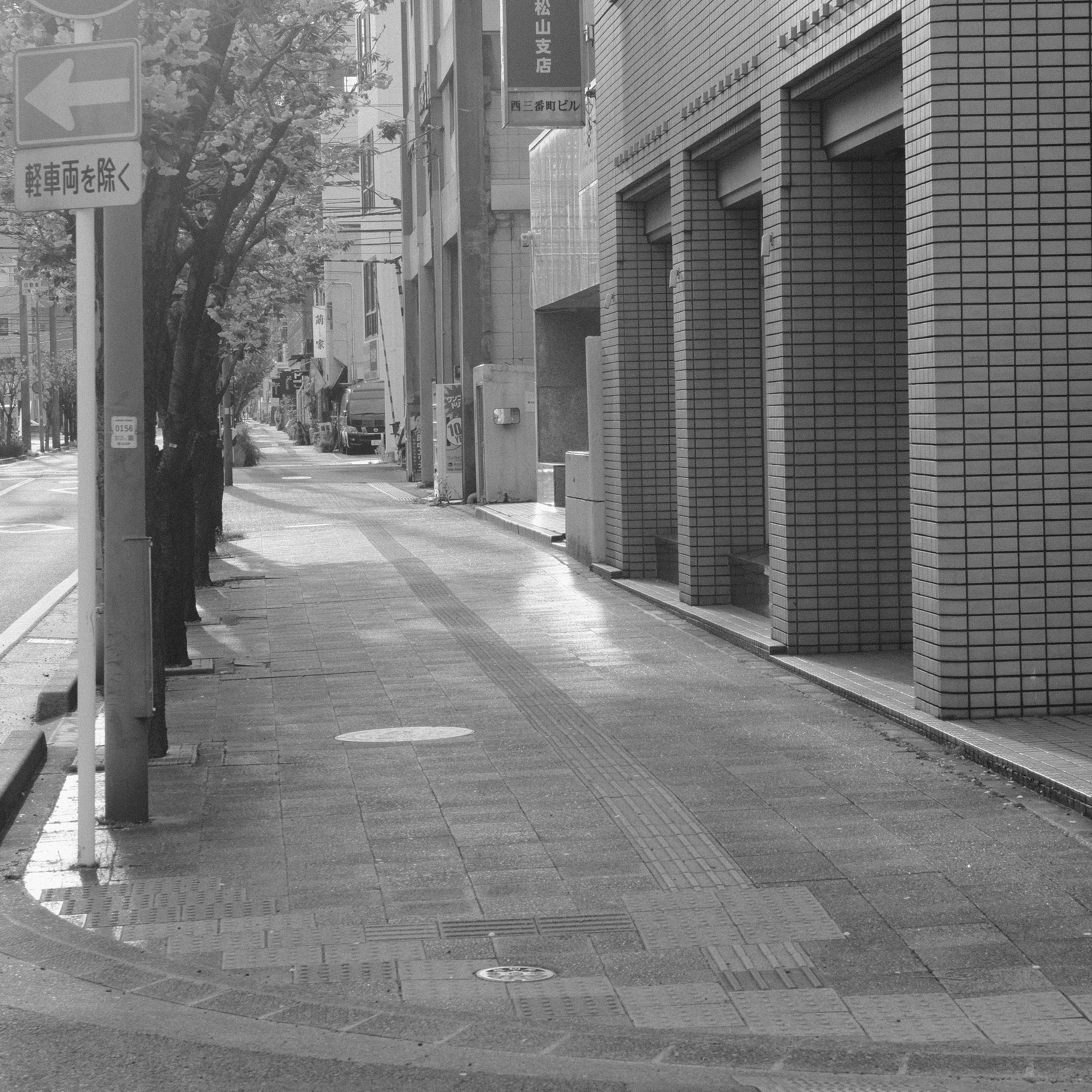 Quiet urban corridor: a sunlit street dissolving into distance