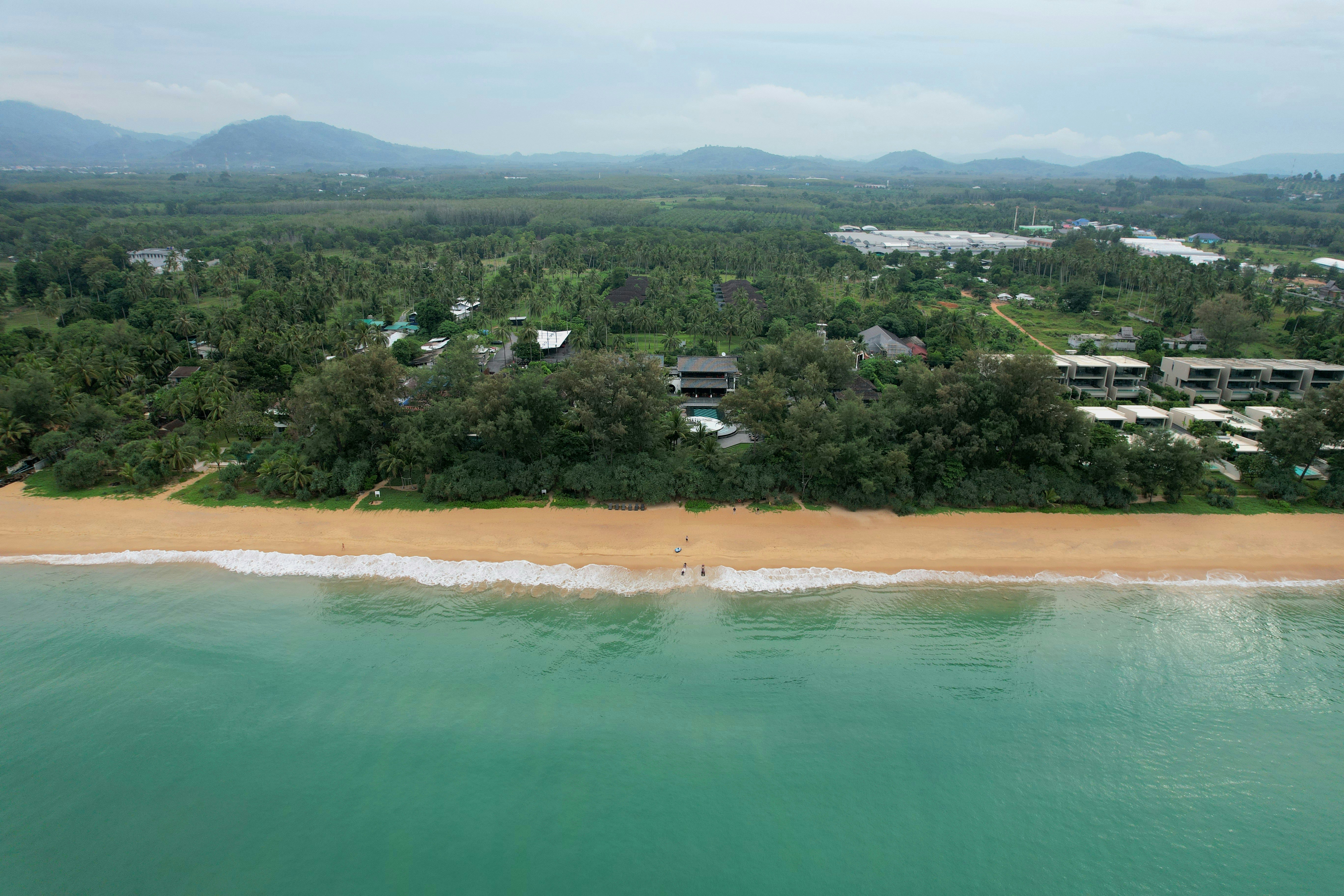 Aerial Calm: Beachfront Retreat Framed by Green Canopy