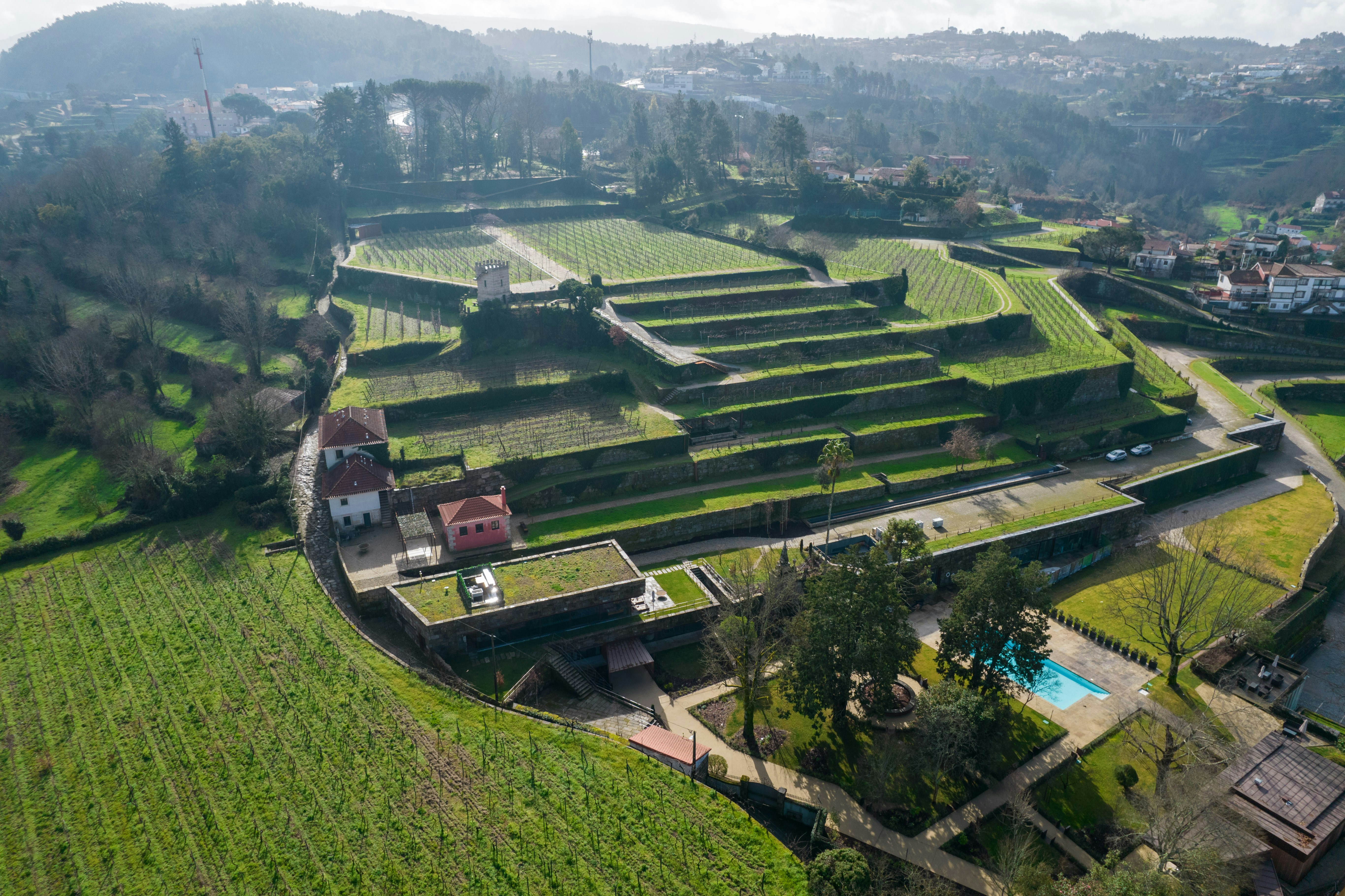 Terraced Hillside Mosaic: Aerial View Overlaid with Village Structures