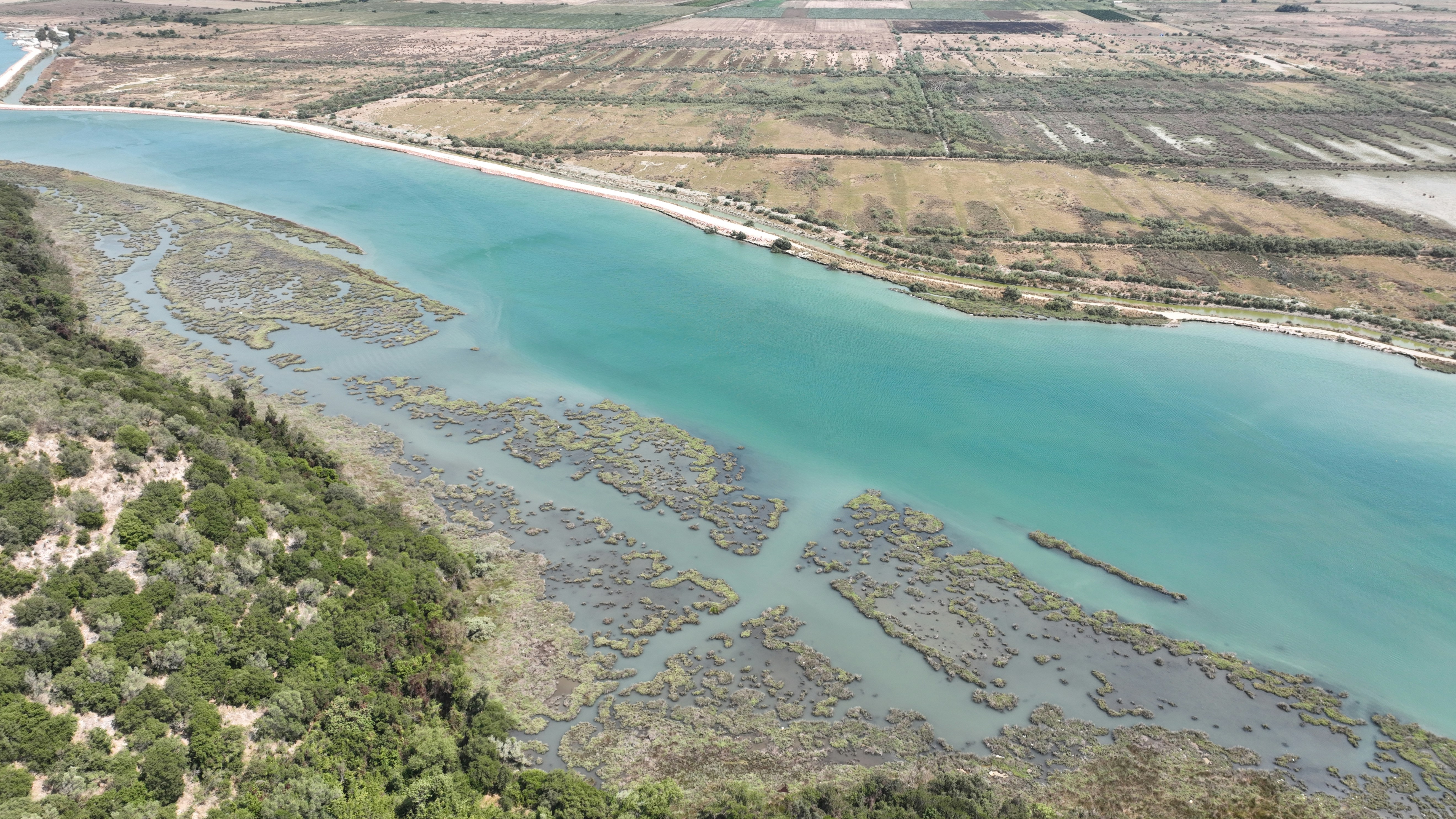 Azure Tide: Aerial Portrait of Shallow Reef Channels