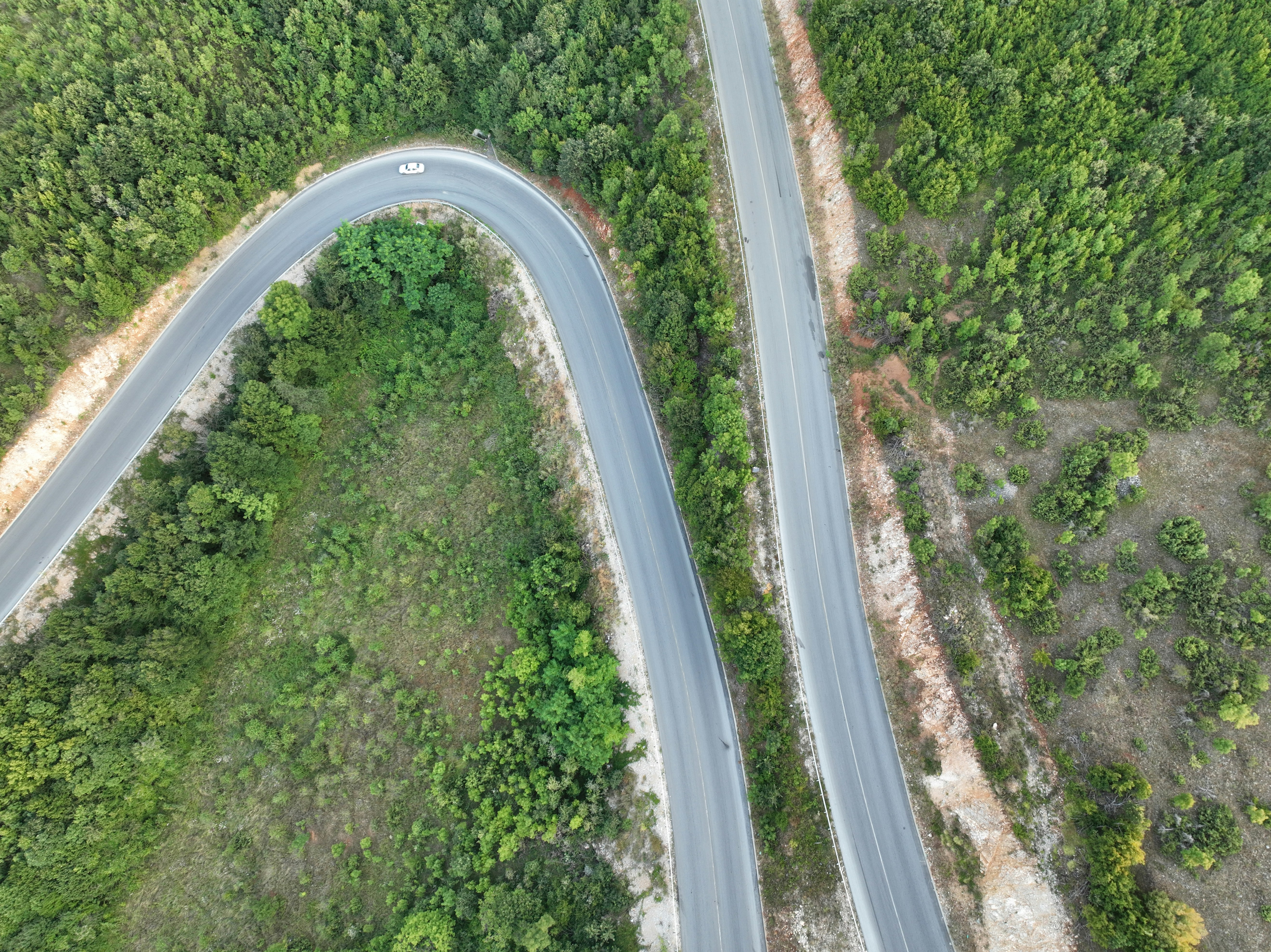 Curving Road Through Green Serpent: Aerial Lines and Terrains