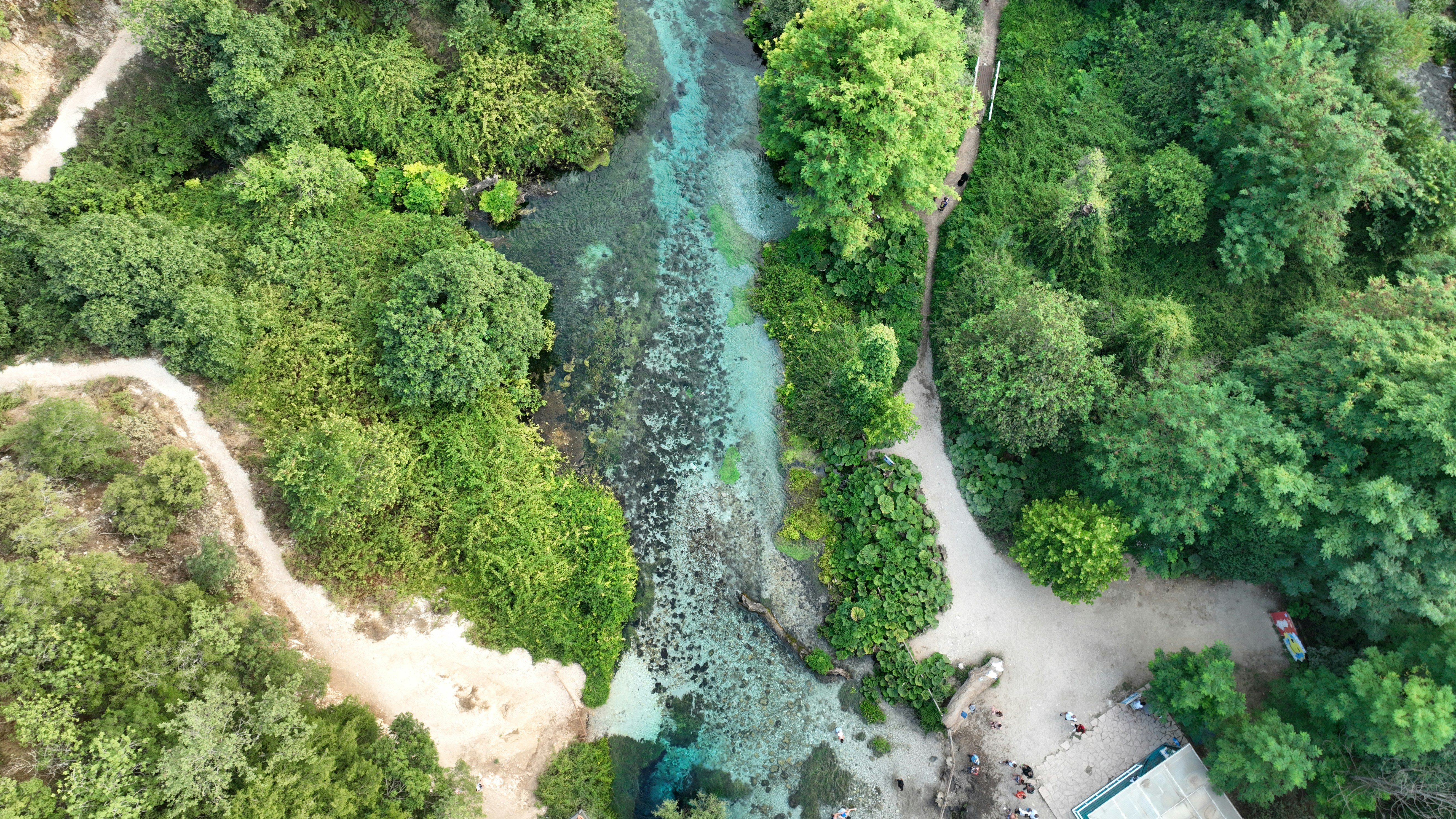 Emerald River Wash Through Verdant Gorge