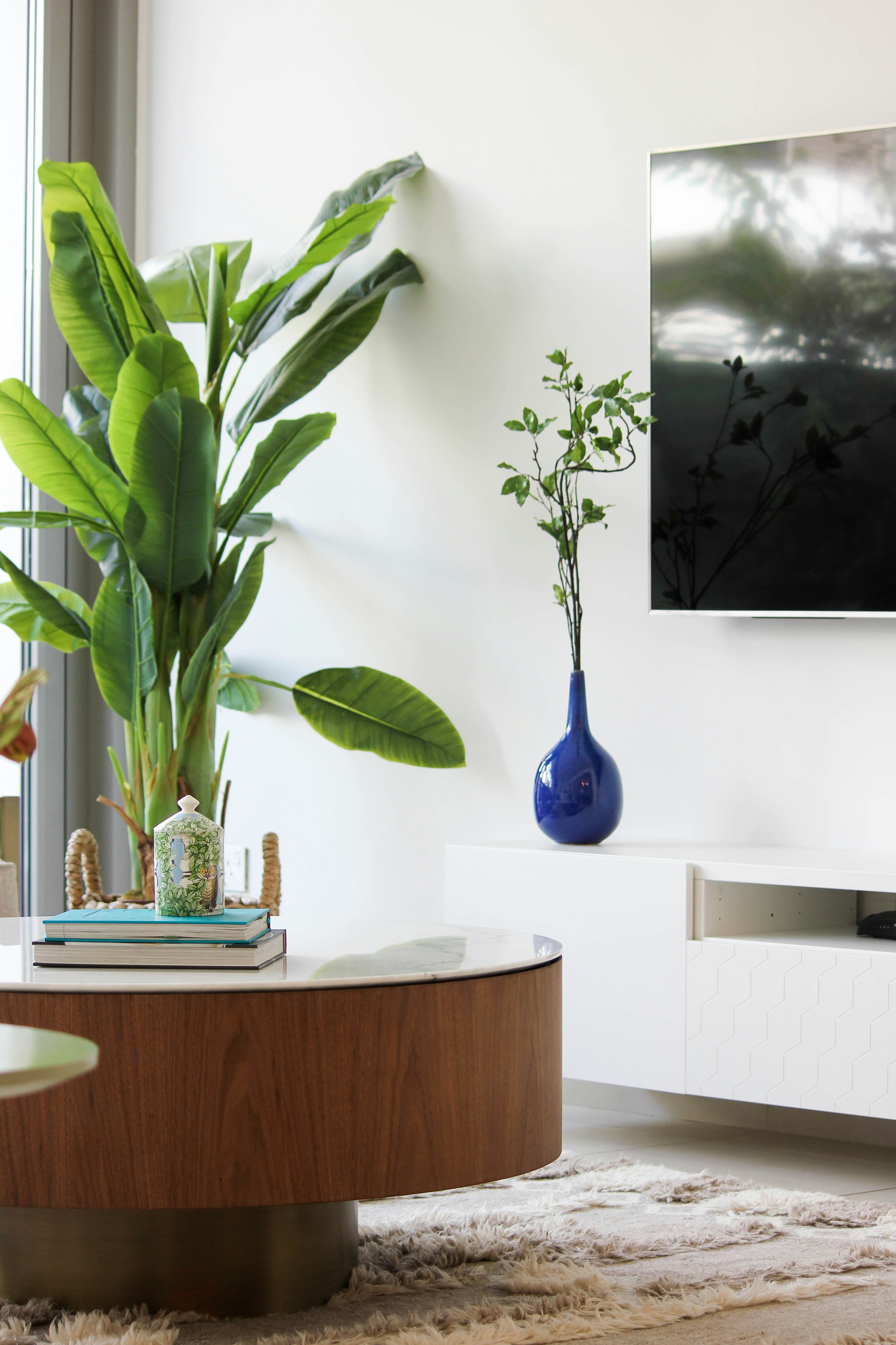 Houseplant Oasis: A Quiet Living Room Centered by Greenery and Marble