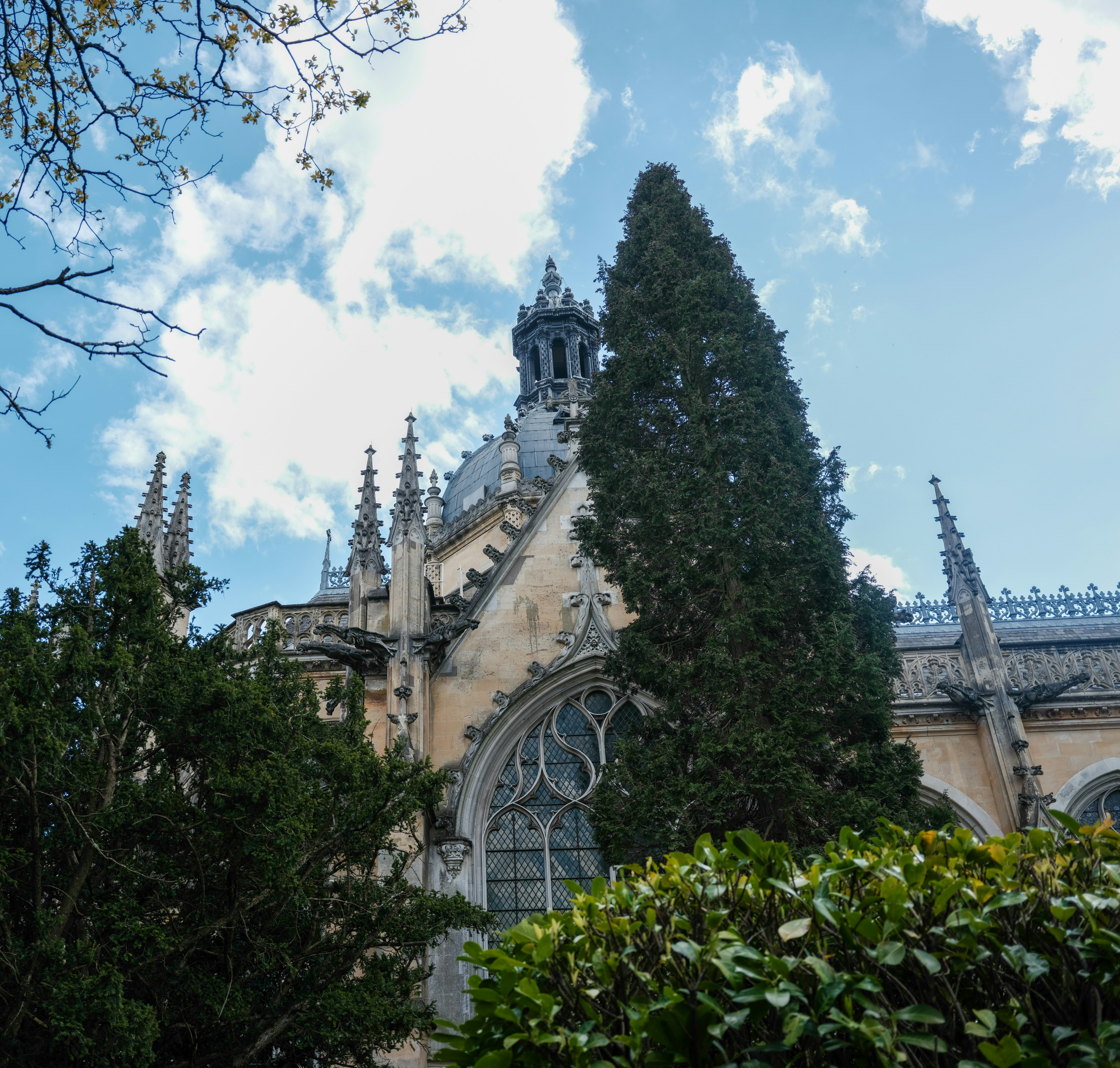 Gothic Cathedral Friar: a Corner of Stone and Foliage