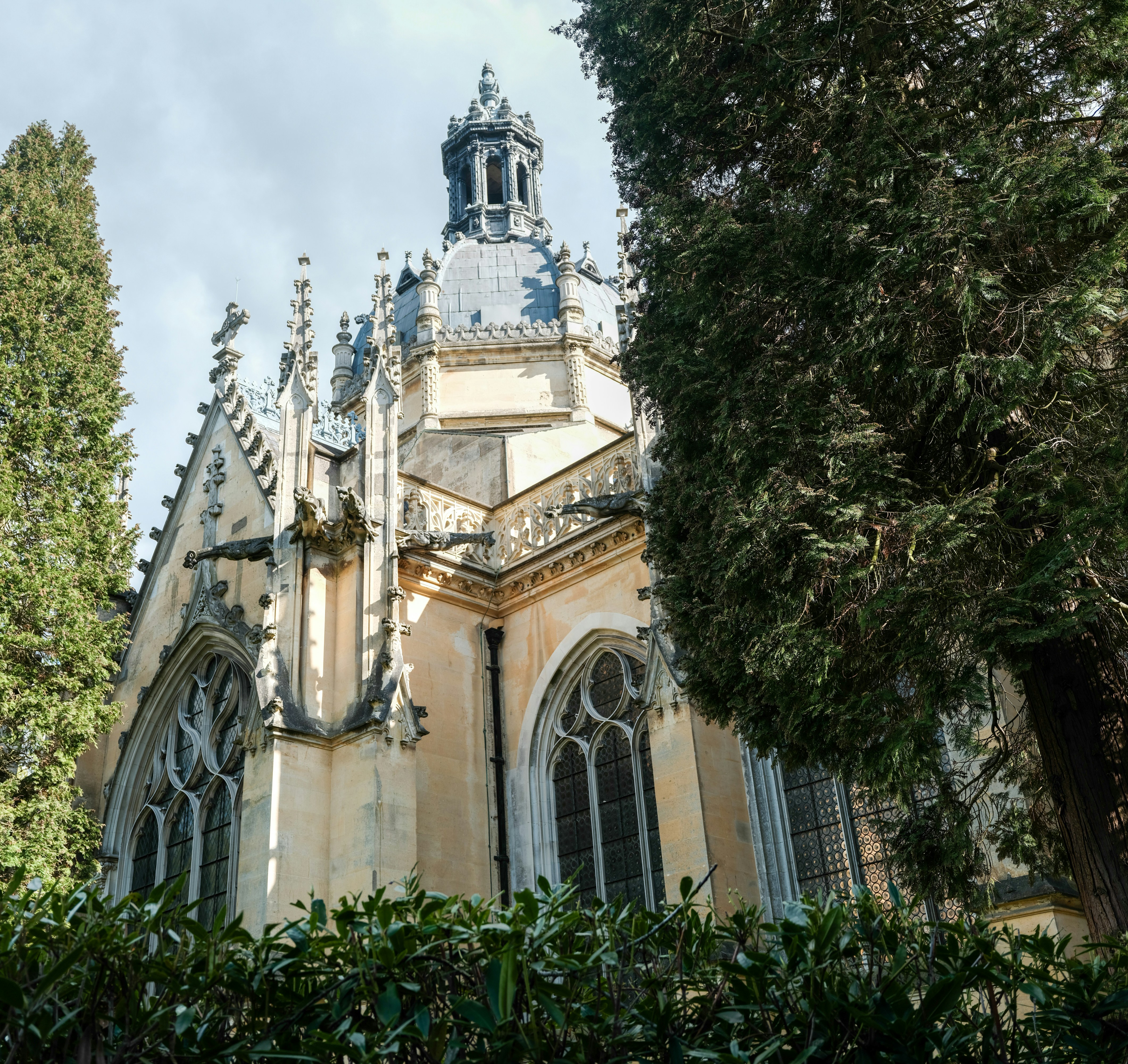 Gothic Revival Facade Brought to Light Among Tall Foliage
