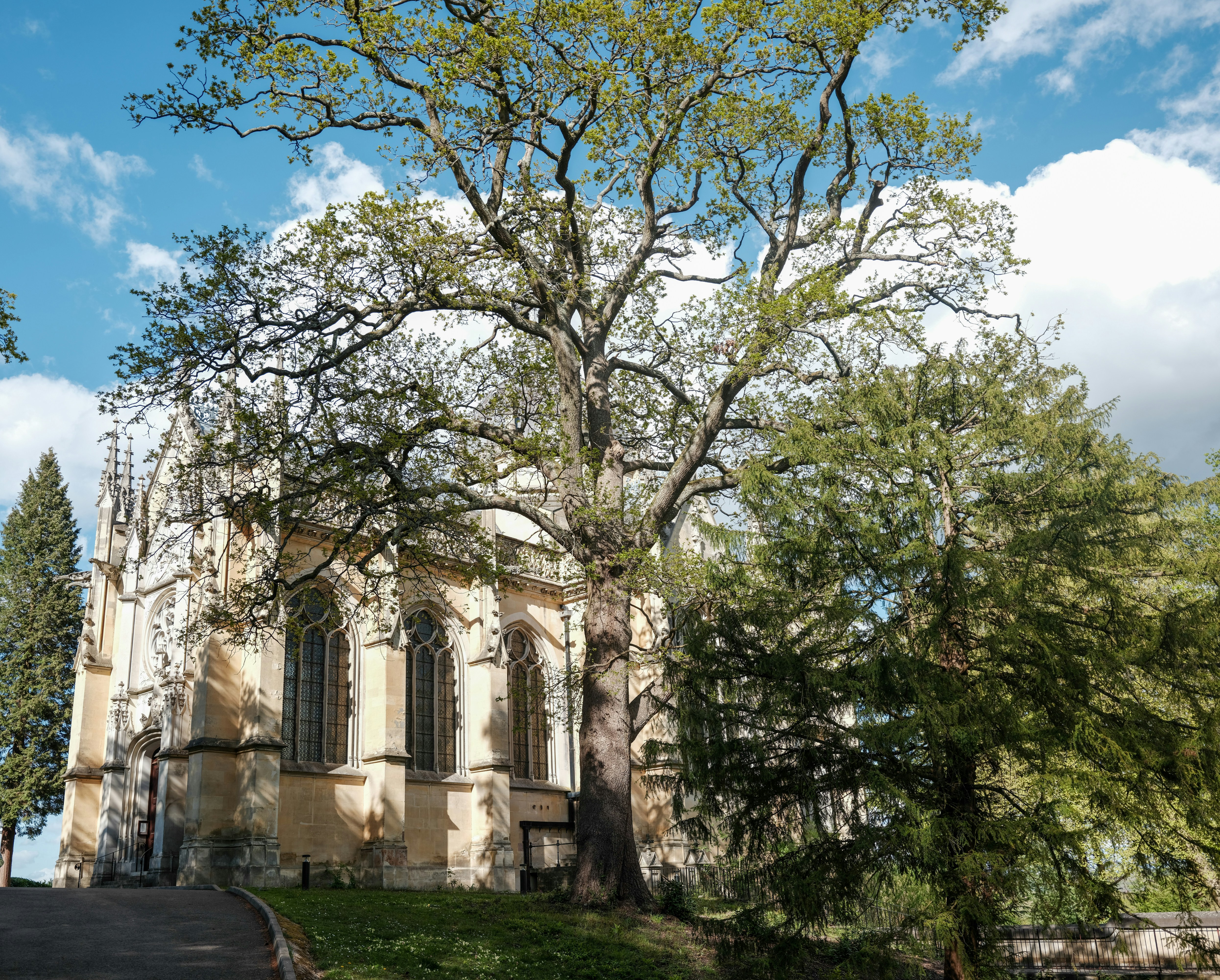 Ancient Church & Luminous Tree Canopy