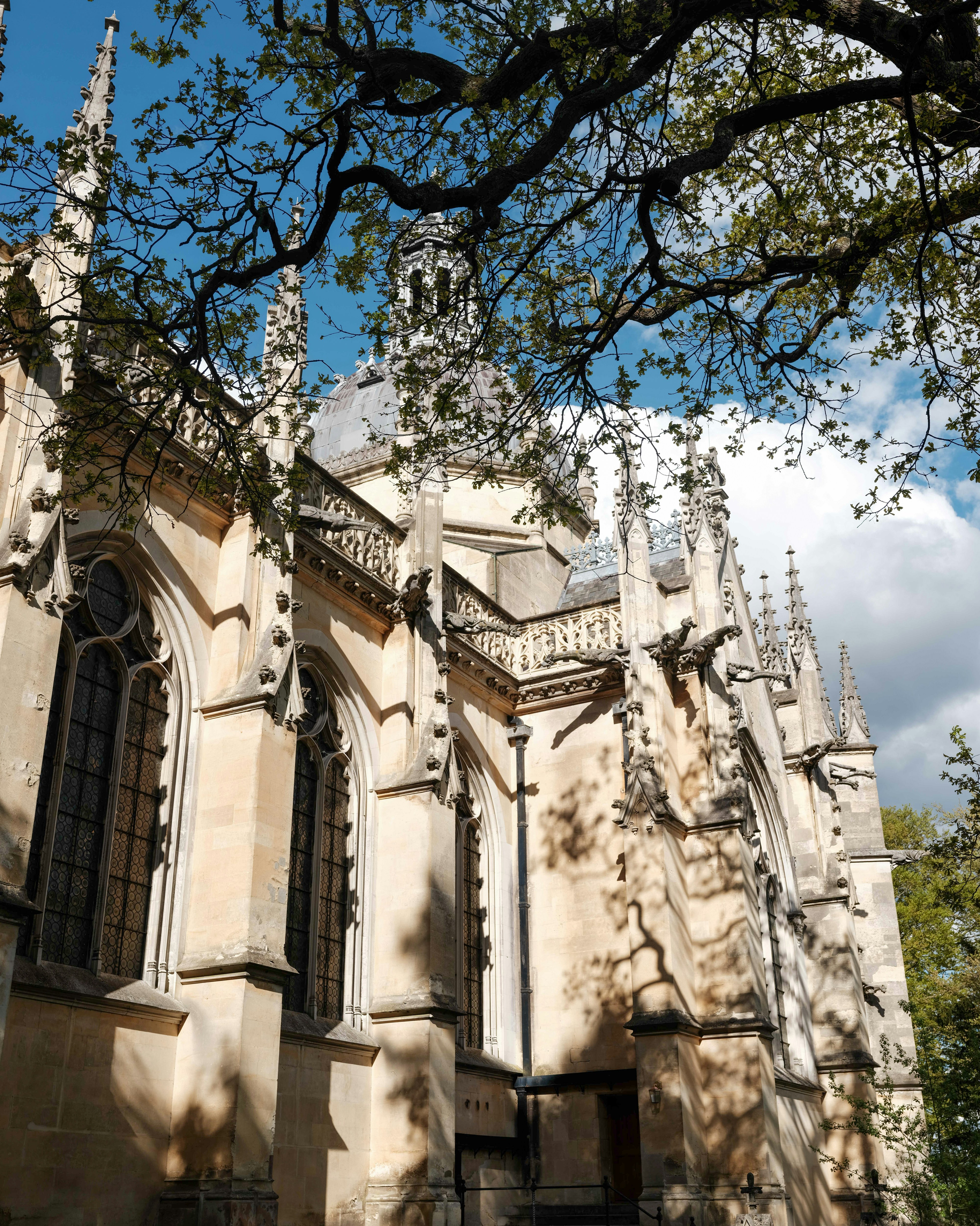 Gothic Cloister in Dappled Light: Stone Spires and Leafy Veils