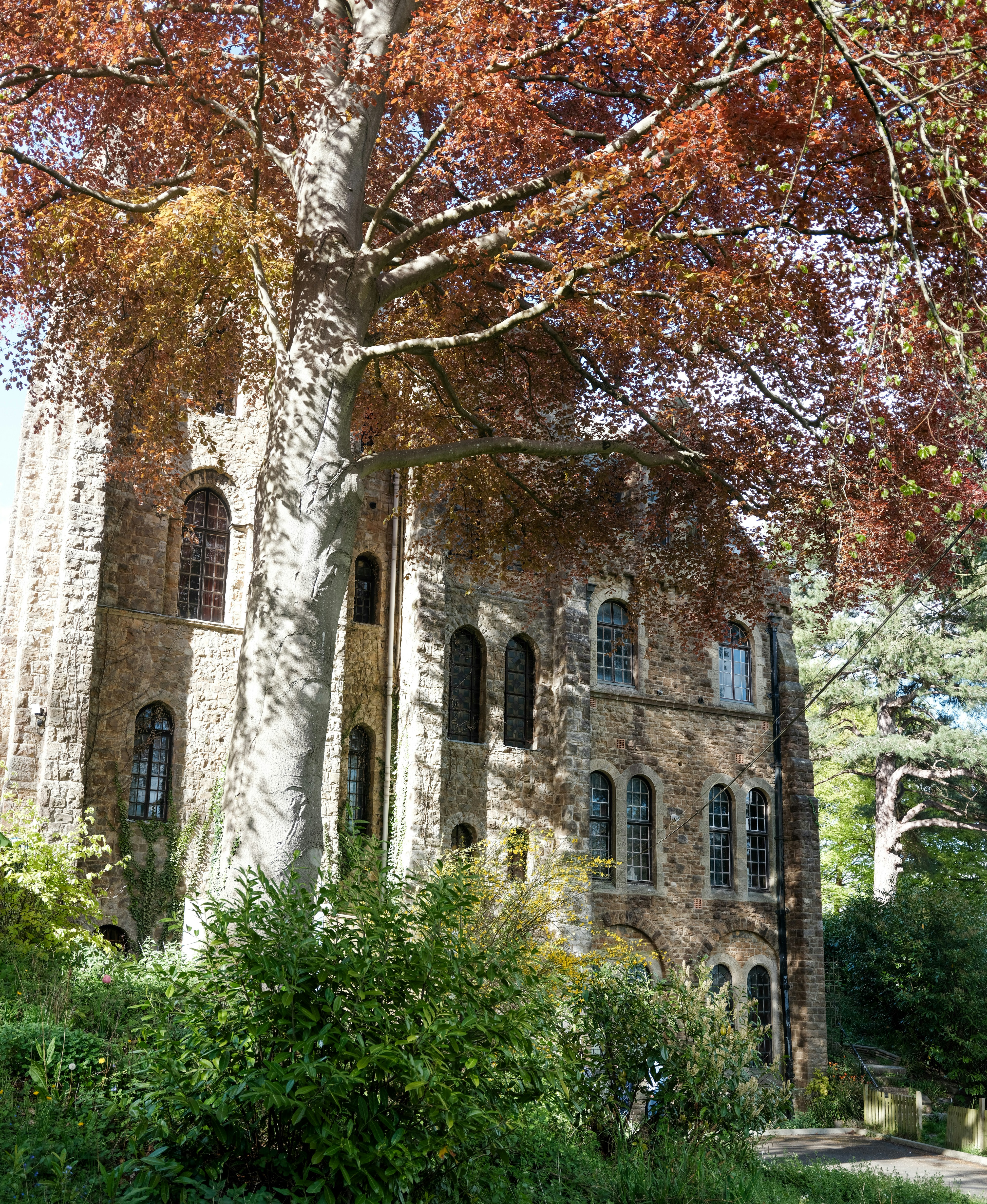 Stone Abbey Amid Autumn Canopy