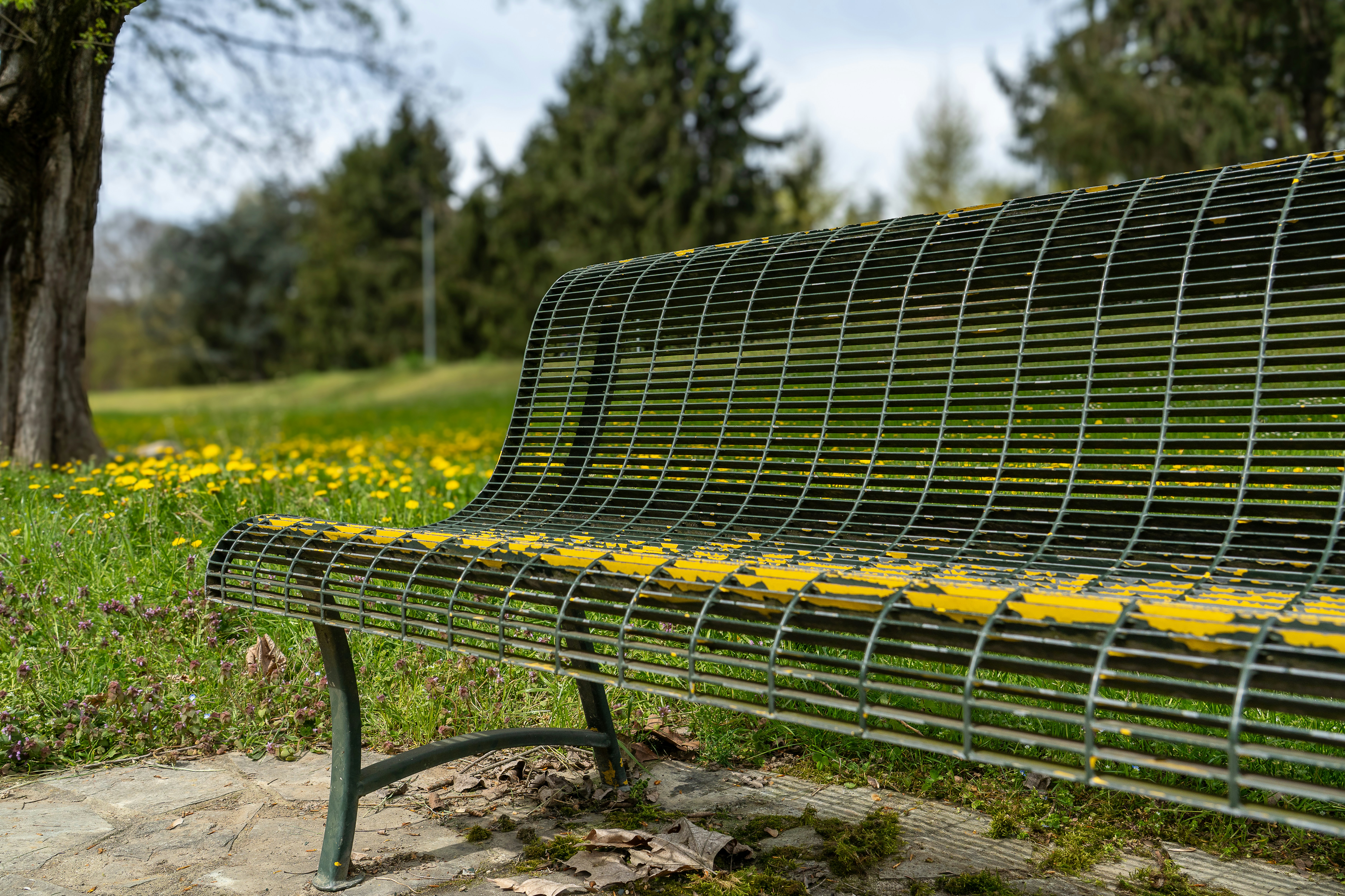 Curved Wire Bench Facing a Sunlit Meadow